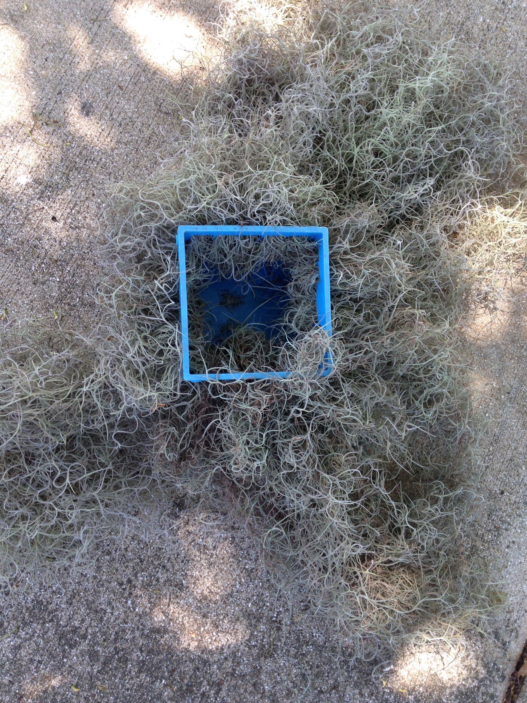 How to Make Koi Spawning Beds : 4 Steps - Instructables