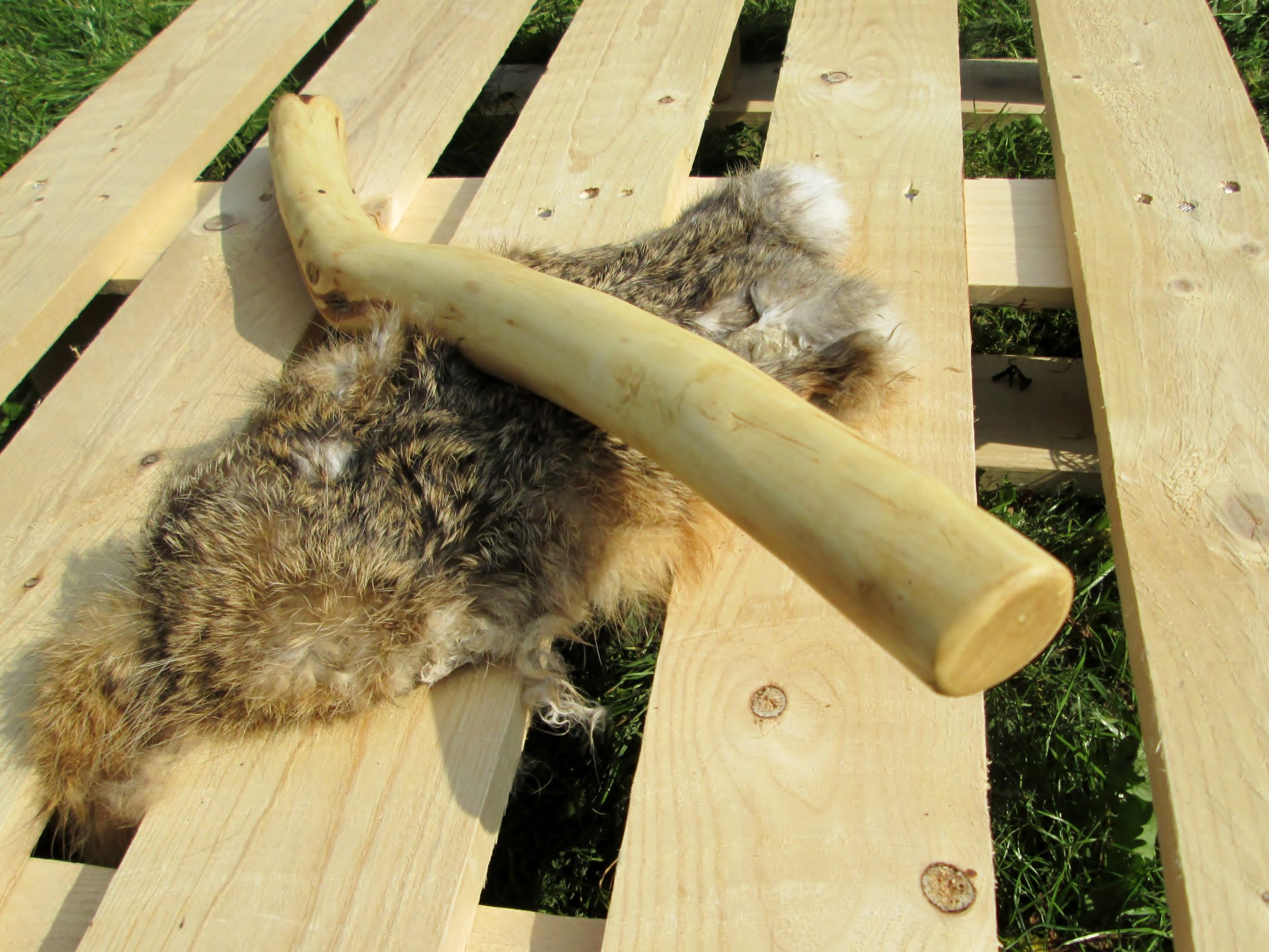 The Rabbit Stick Hunter : 4 Steps (with Pictures) - Instructables