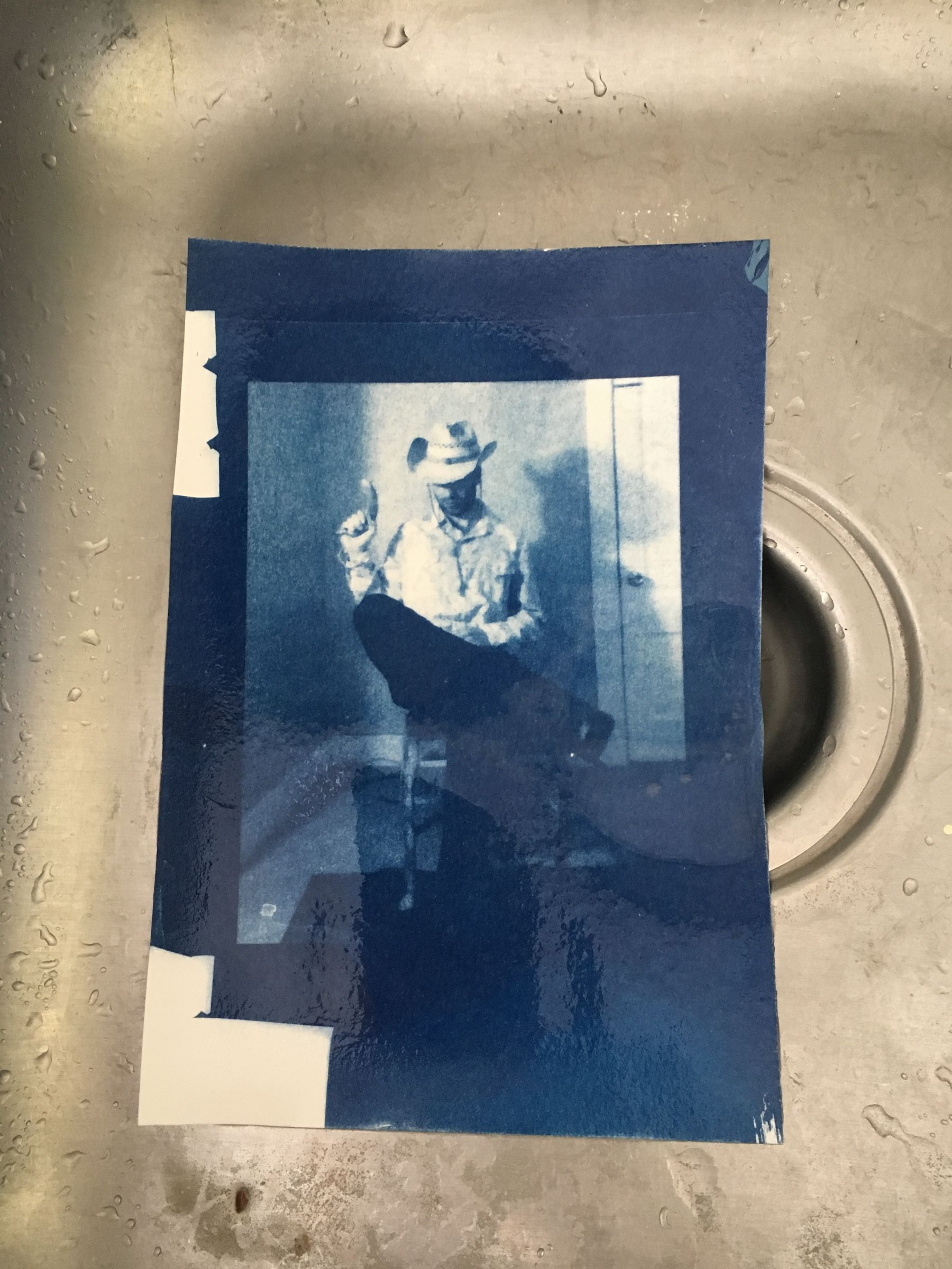 Alternative Photography: Anthotype & Cyanotype : 5 Steps (with Pictures ...