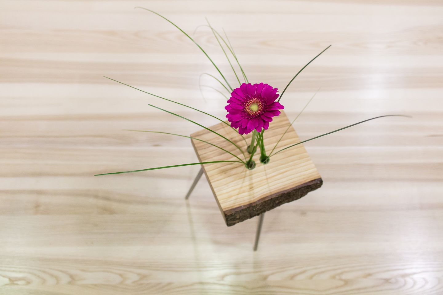 Modern Live Edge Vase : 8 Steps (with Pictures) - Instructables