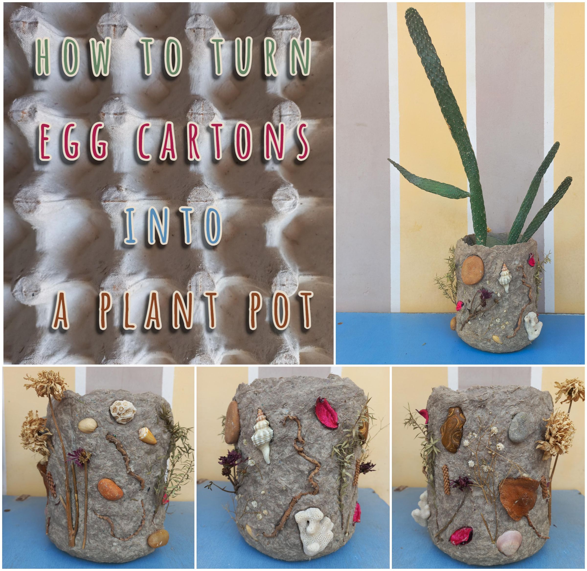 How to Turn Egg Cartons Into a Plant Pot : 8 Steps (with Pictures ...