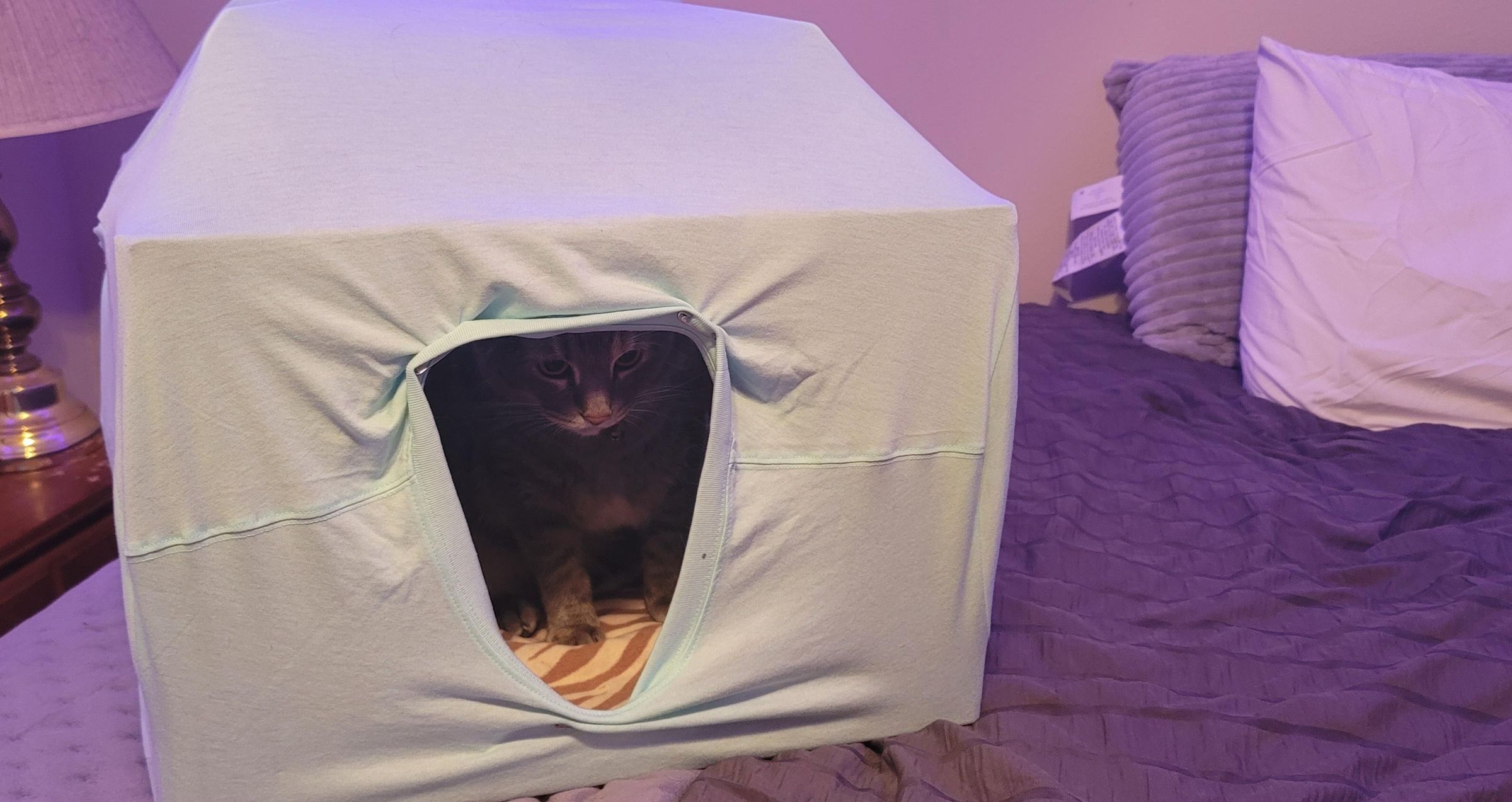 Cat Condo (DIY) : 10 Steps - Instructables