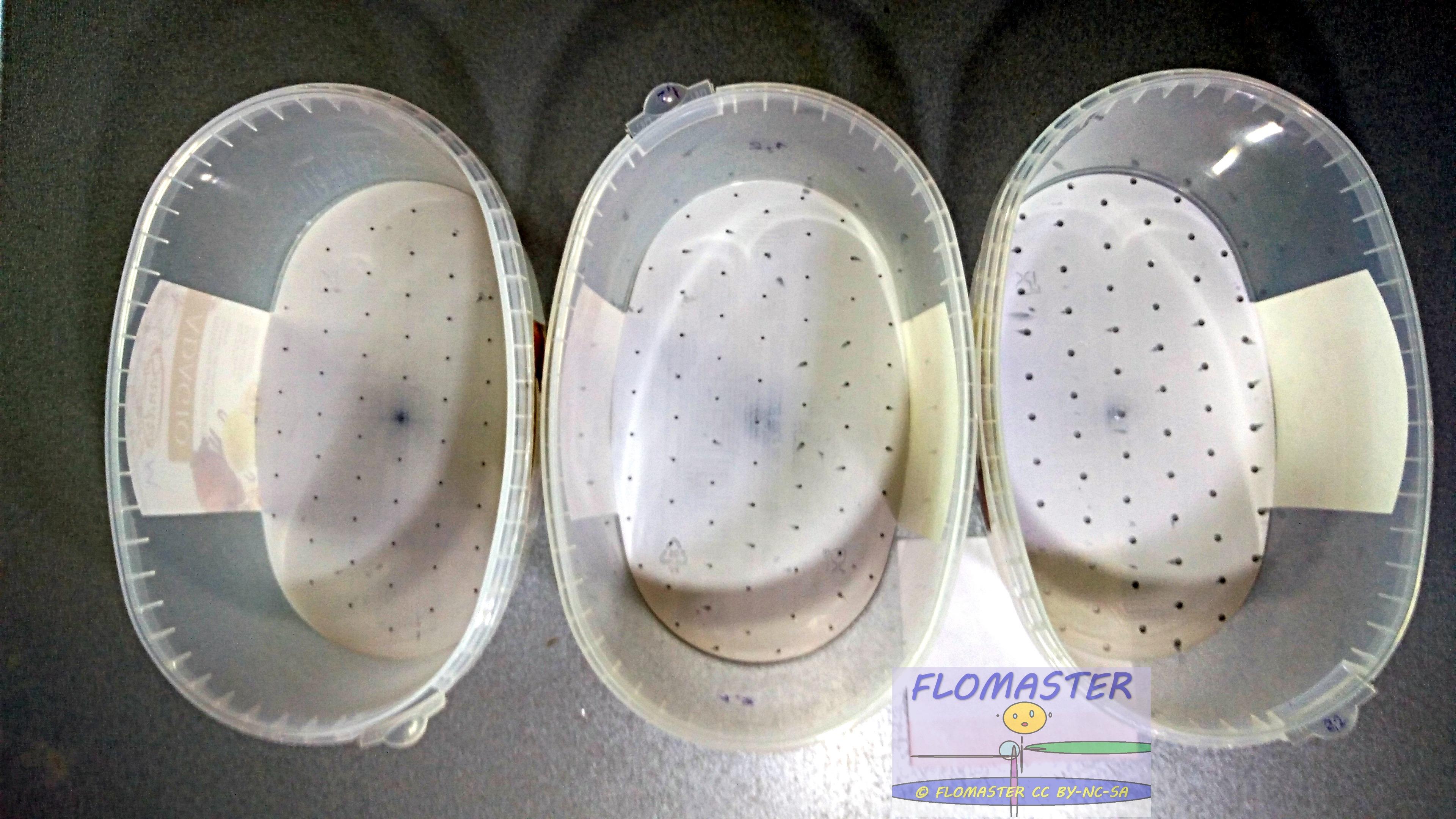 🌼 DIY Seedling Propagator From Recycled Plastic Container 🌼 : 12 Steps ...