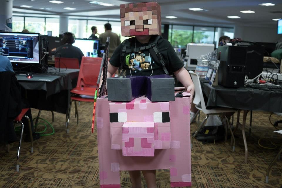 Steve Riding a Pig Minecraft Cardboard Halloween Costume (with Pictures ...