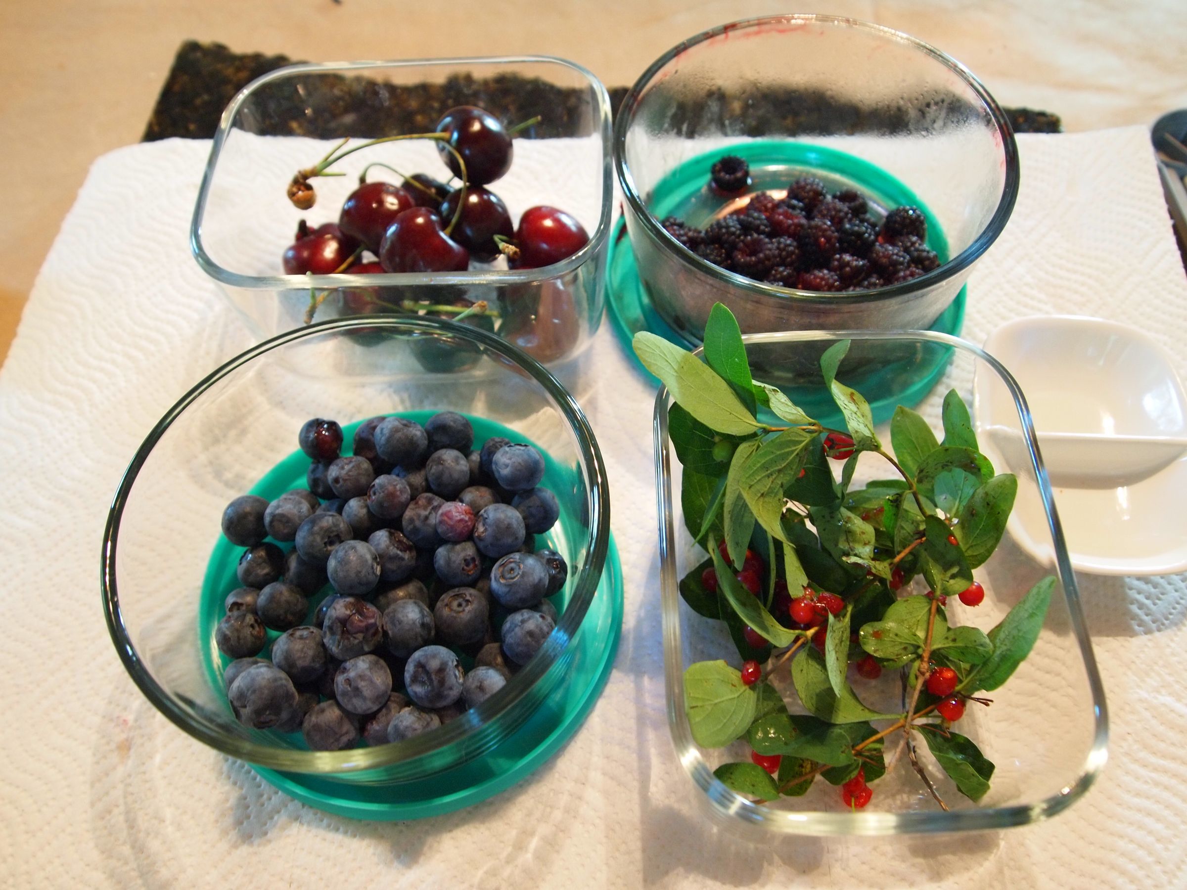 Paint Made From Berries & Nature : 4 Steps (with Pictures) - Instructables