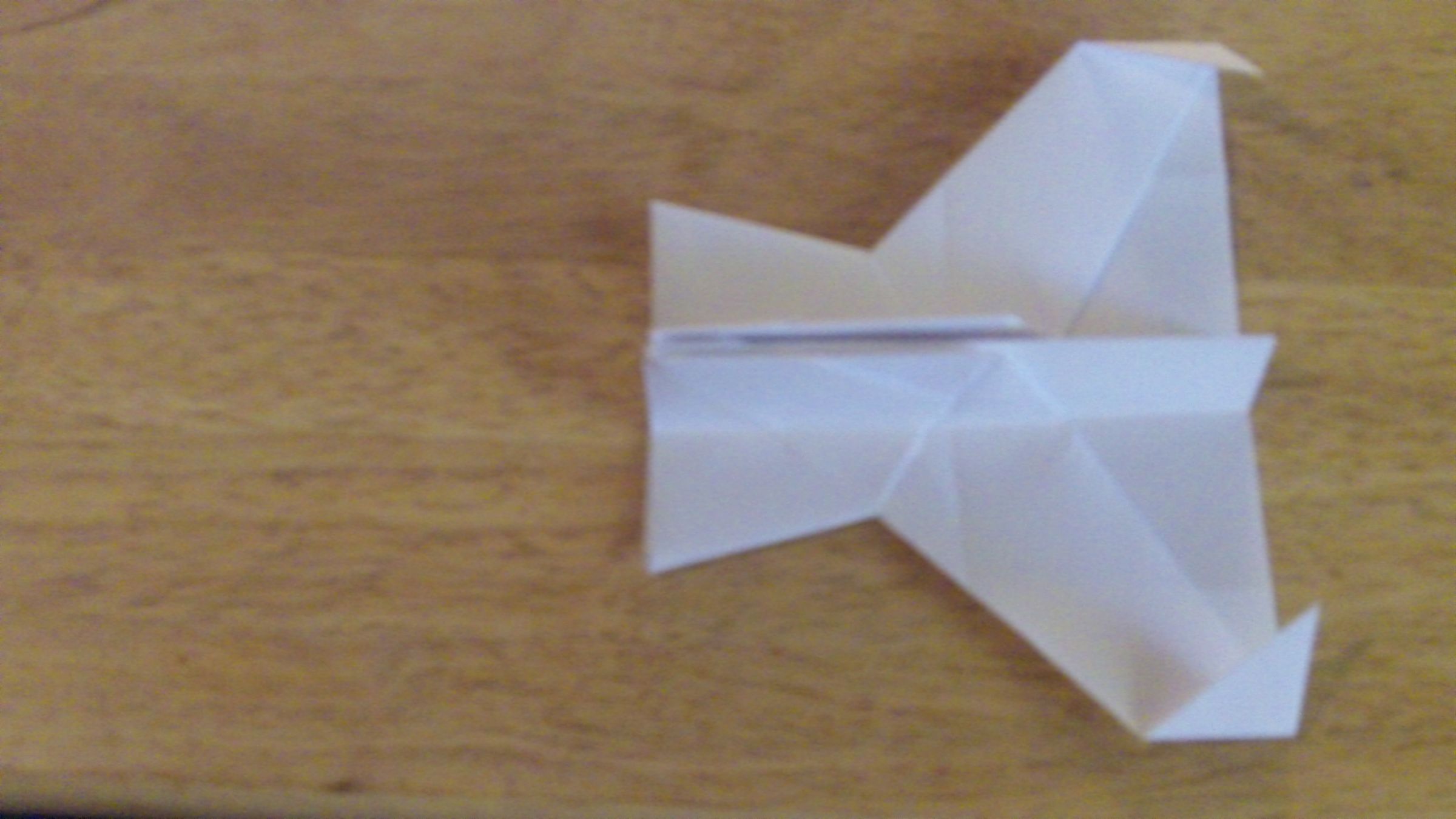 How to Make the Hammerhead Paper Airplane : 11 Steps - Instructables