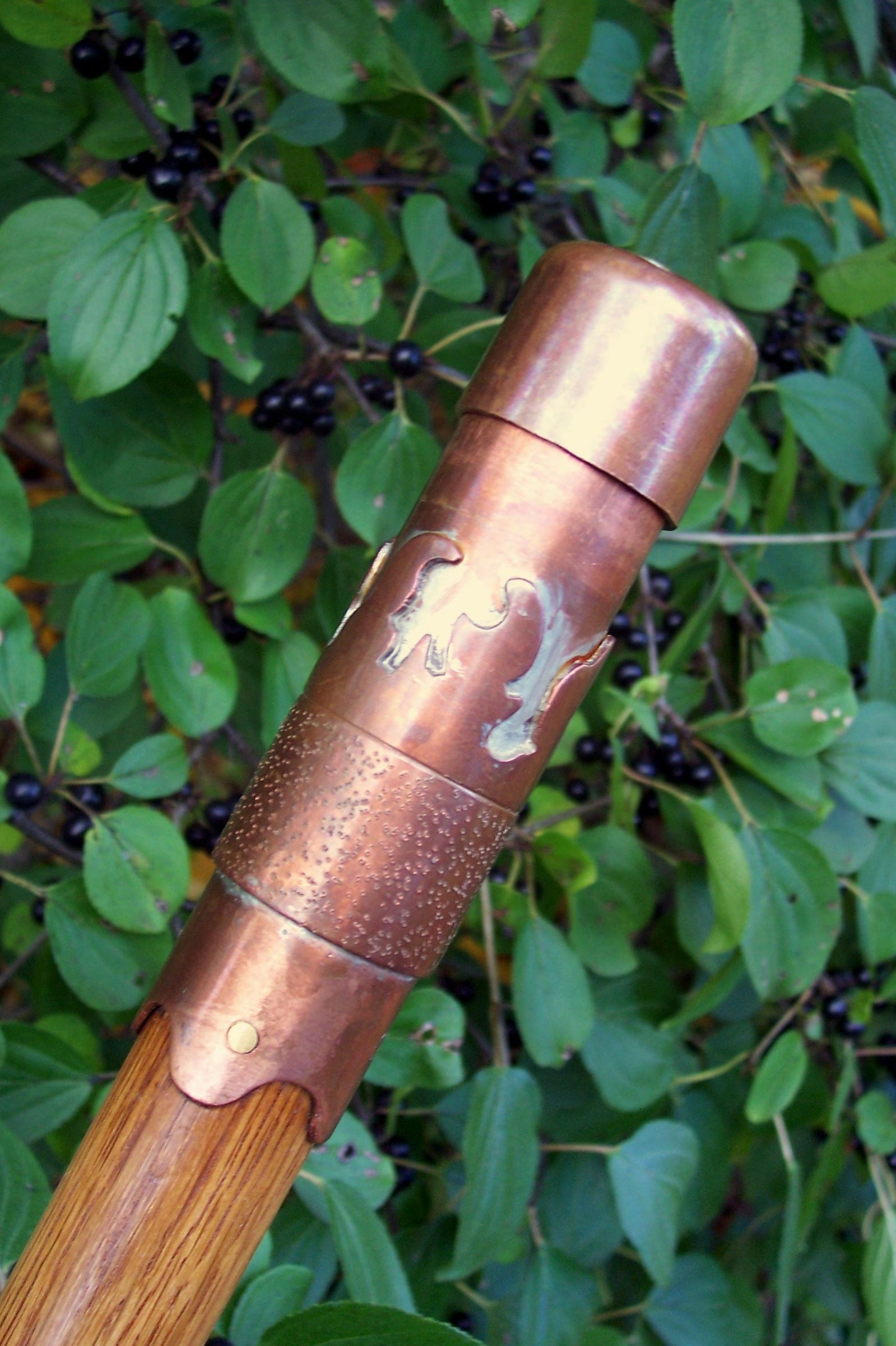 Multi-Function Walking Stick II - Storage Compartment : 10 Steps (with ...