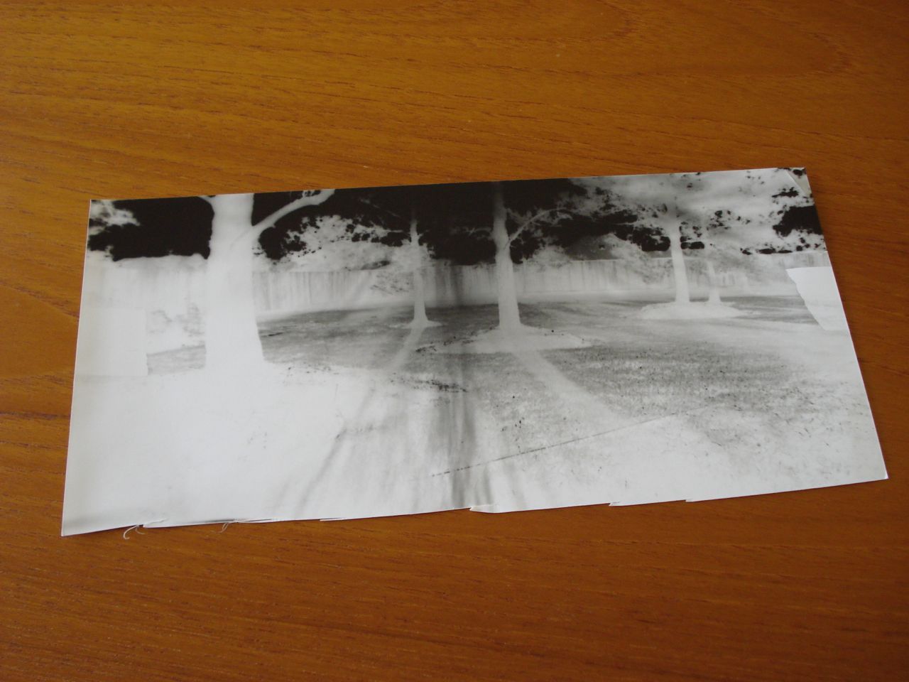 Shoebox Camera : 7 Steps (with Pictures) - Instructables