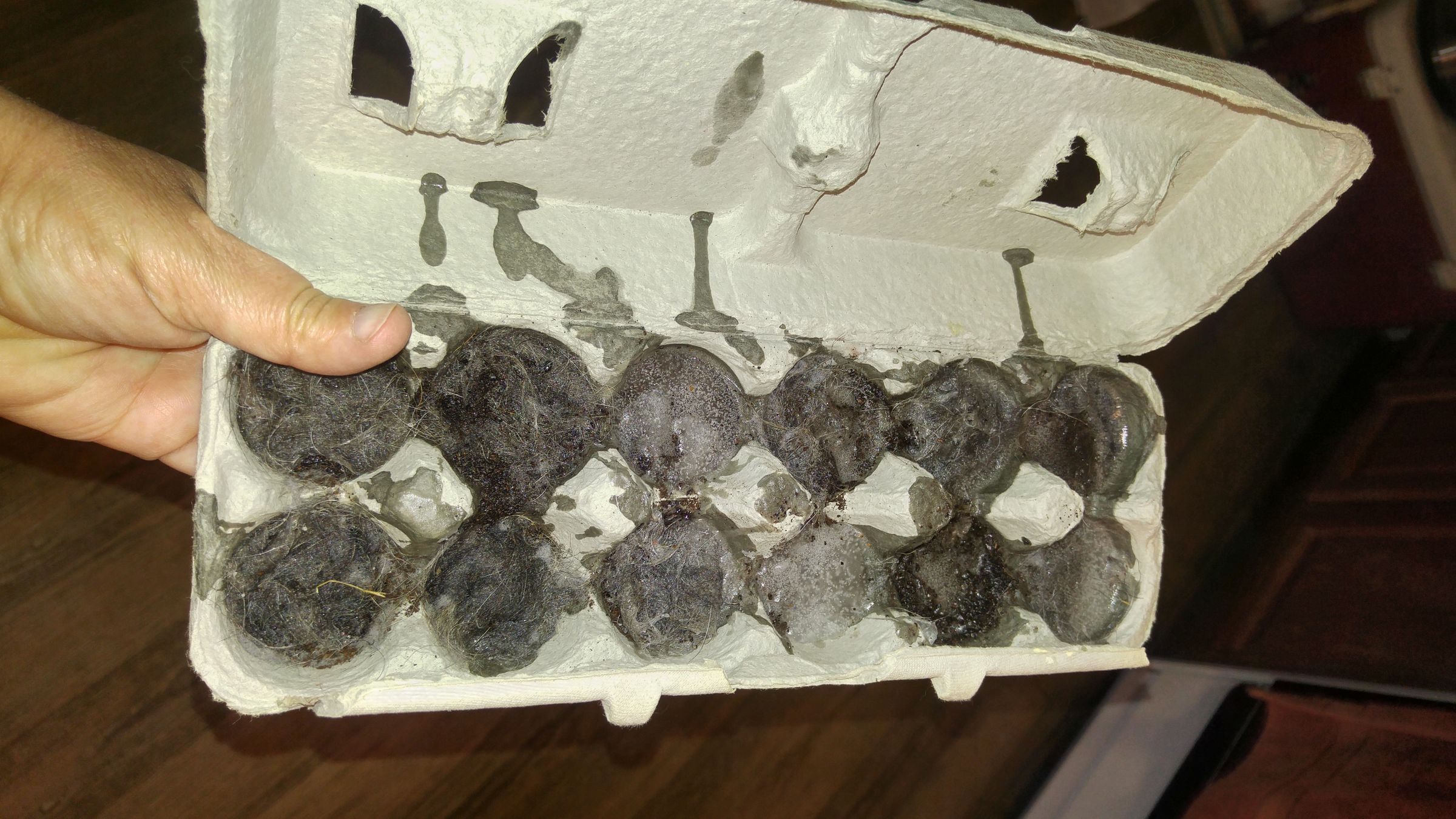 Easy Homemade Fire Starters : 6 Steps (with Pictures) - Instructables