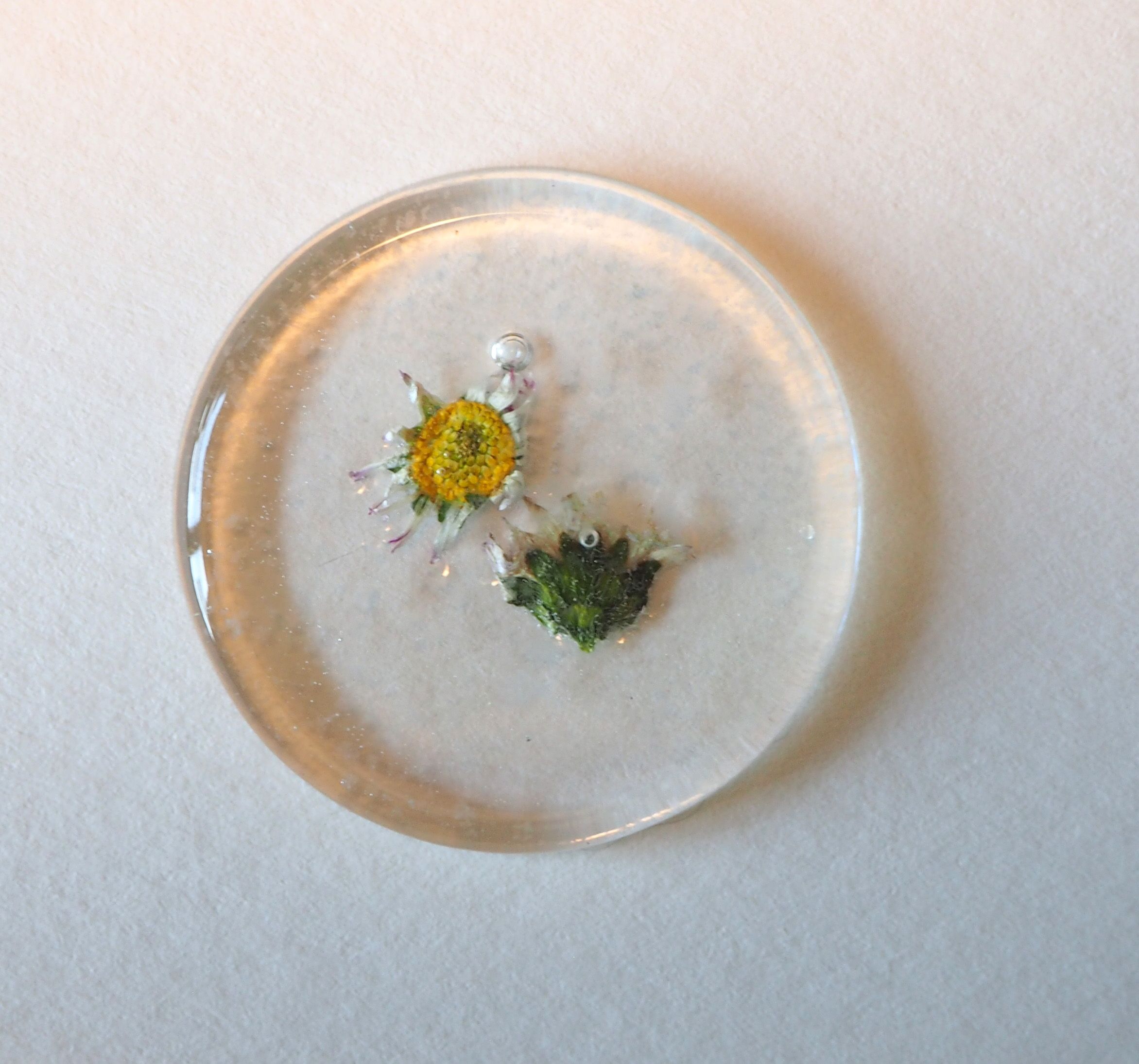 Techniques to Embed Flowers in Resin : 12 Steps (with Pictures ...