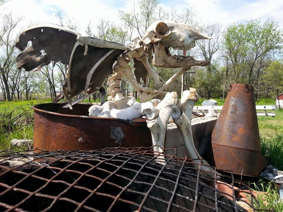 Bone Sculptures : 11 Steps (with Pictures) - Instructables