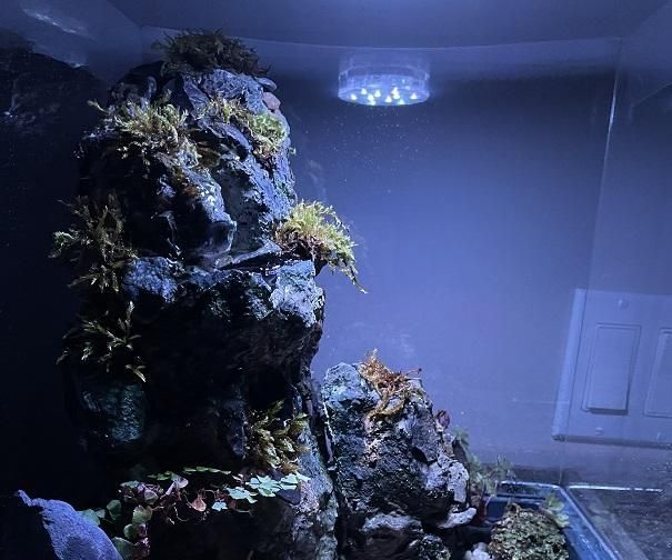 Model Waterfall Feature : 15 Steps (with Pictures) - Instructables