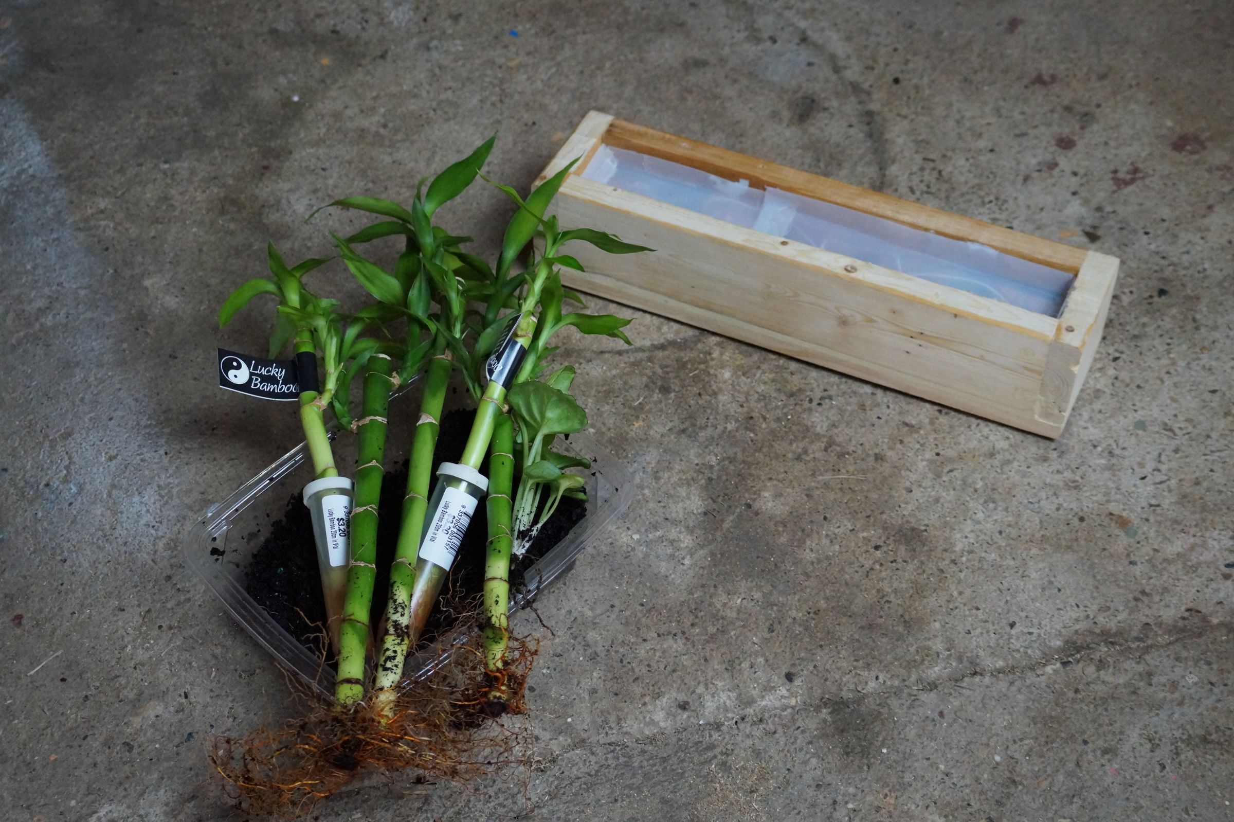 Magical Floating Planter Box : 6 Steps (with Pictures) - Instructables