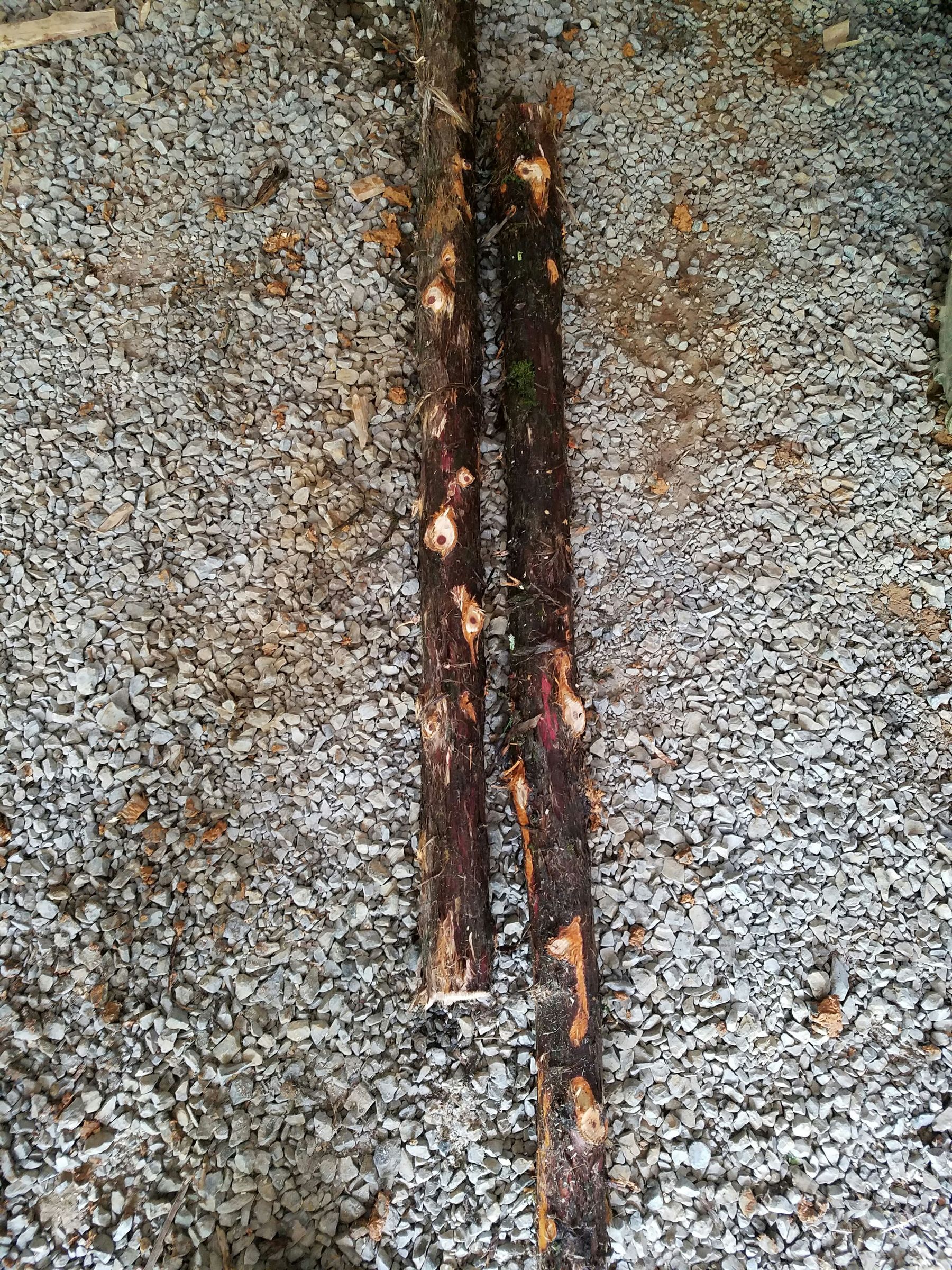 Turning Cedar Trees Into Walking Sticks : 12 Steps (with Pictures ...