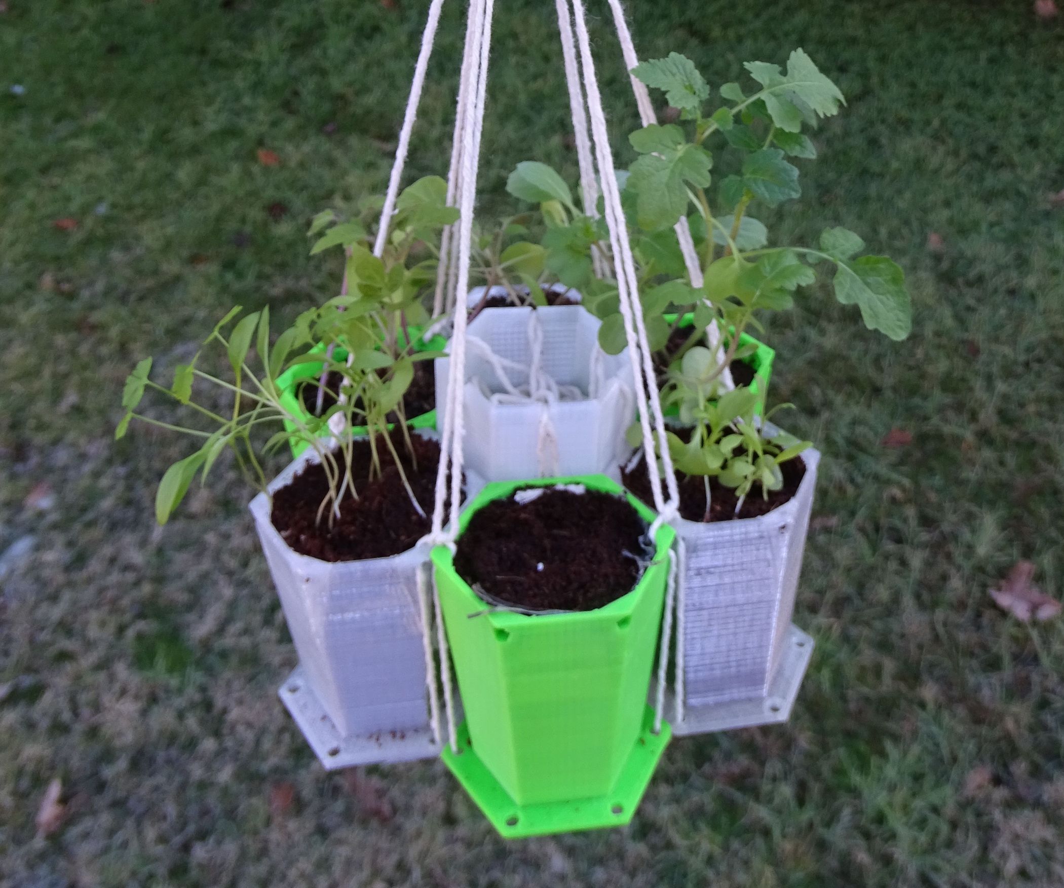 Modular Seedling Planters : 8 Steps (with Pictures) - Instructables