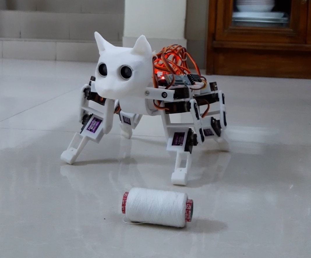Leo: the Pet Cat : 7 Steps (with Pictures) - Instructables