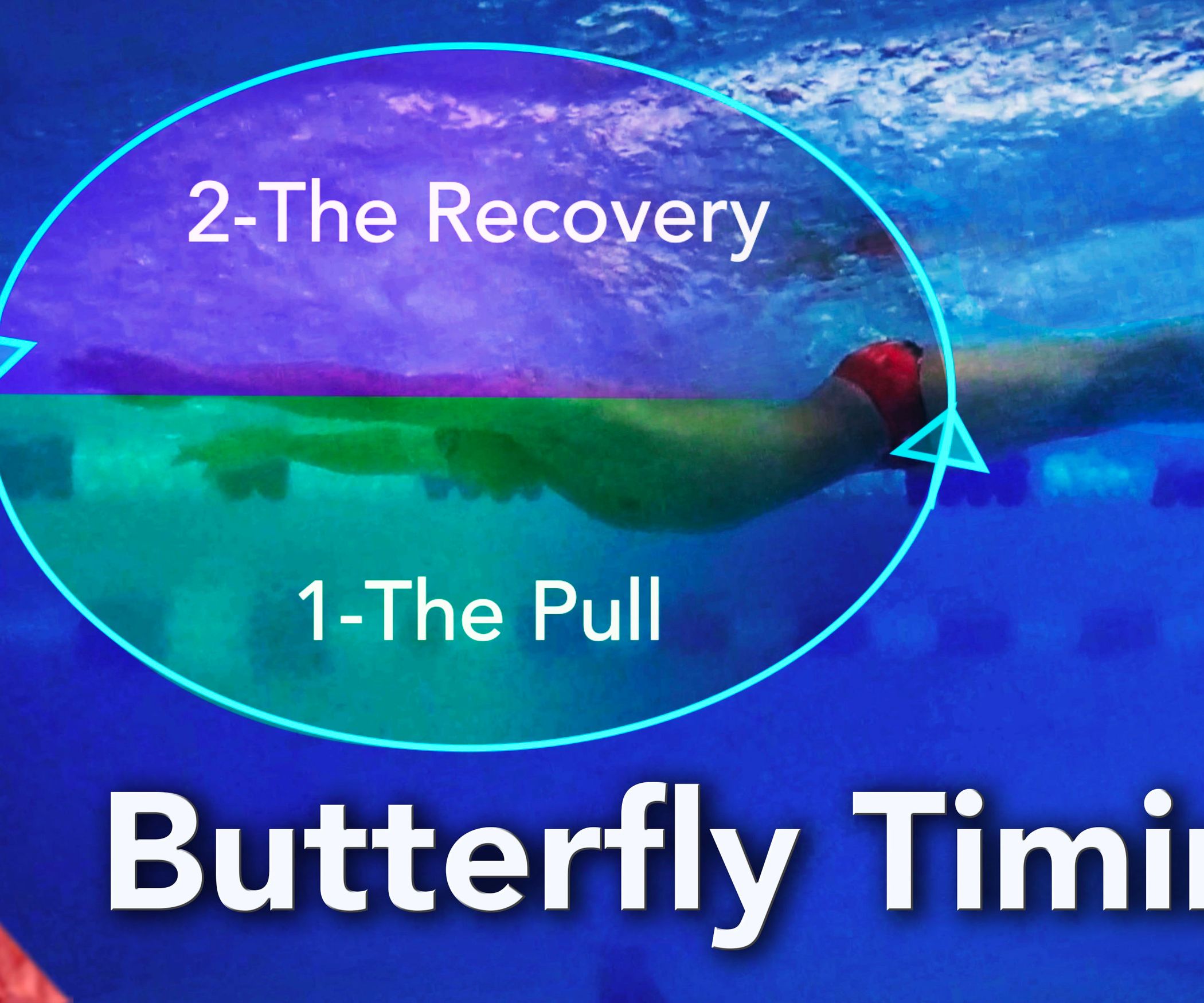 Butterfly Timing - Instructables