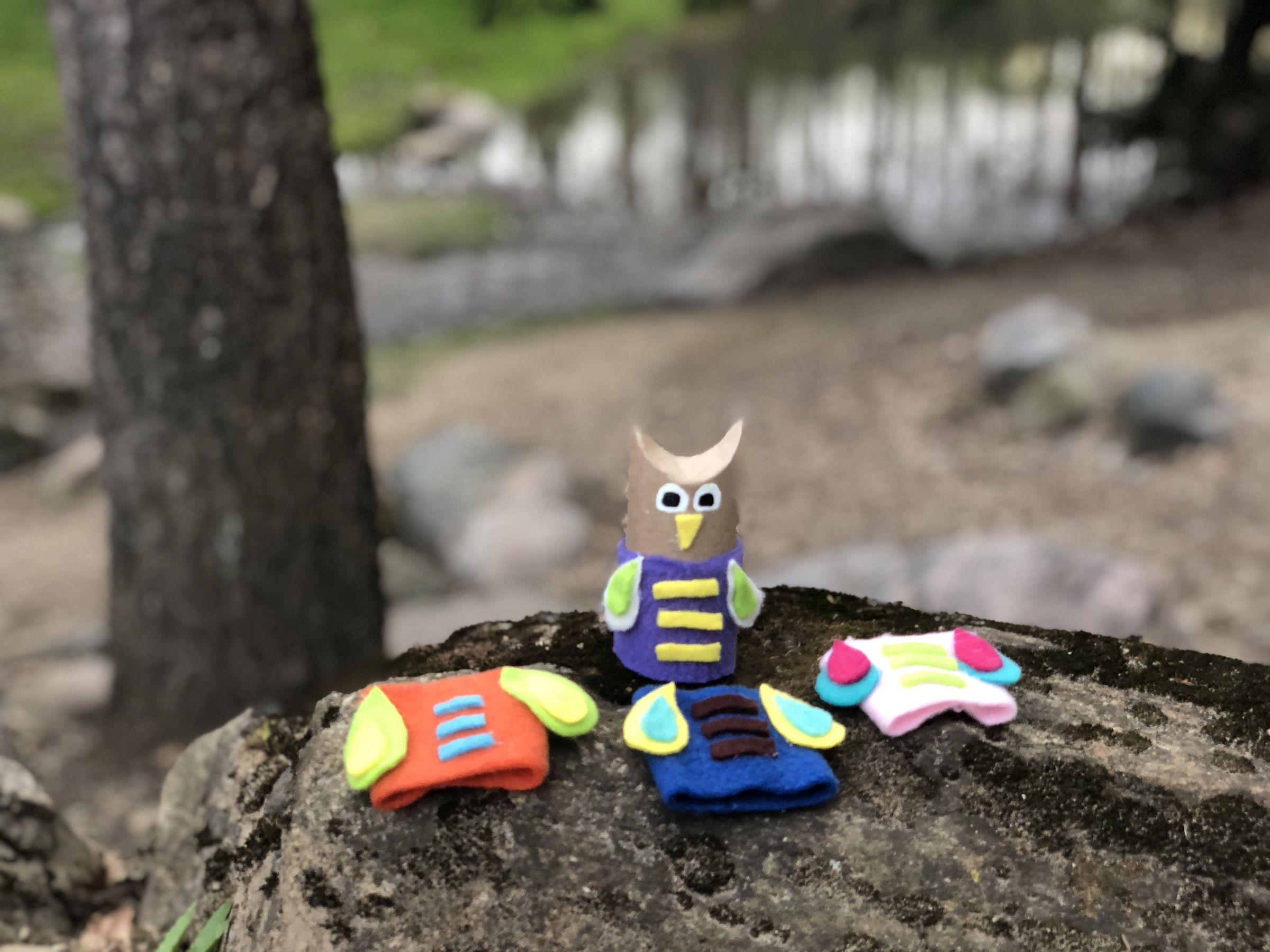 Recycled Cardboard Tube Owls : 9 Steps (with Pictures) - Instructables