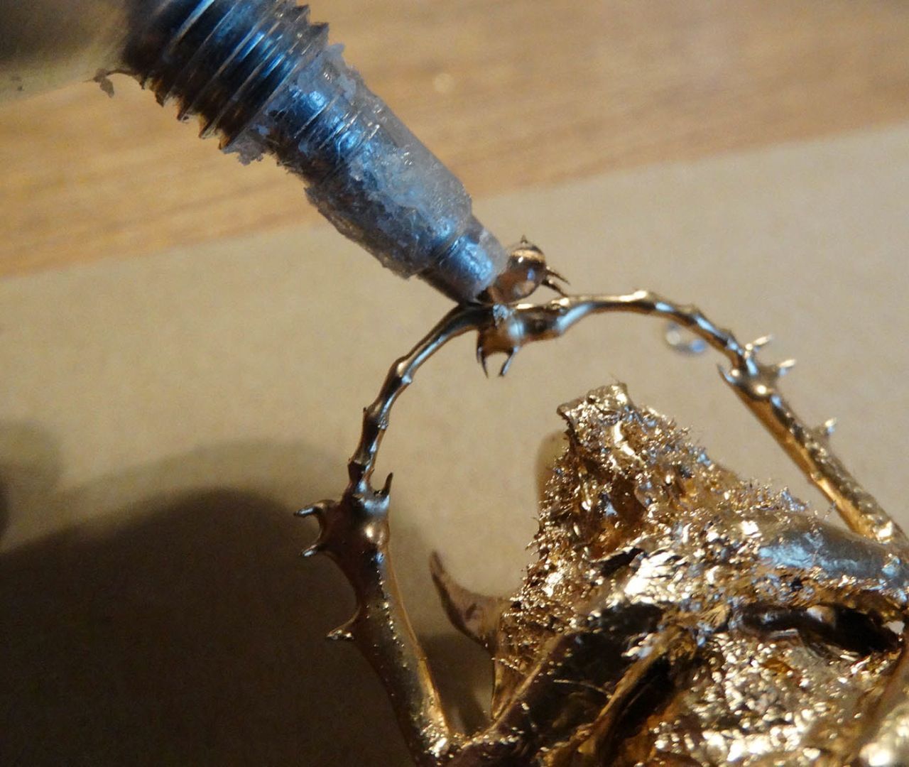 Preparing and Gilding a Real Insect : 10 Steps (with Pictures ...