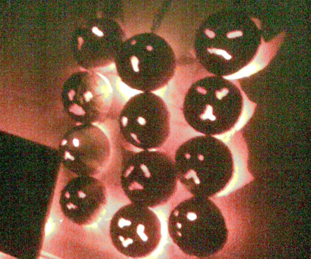 COCONUT SHELL DECOR : 6 Steps - Instructables