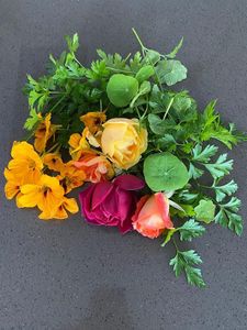 Home-made Pasta Laminated With Edible Flowers and Herbs : 8 Steps (with ...