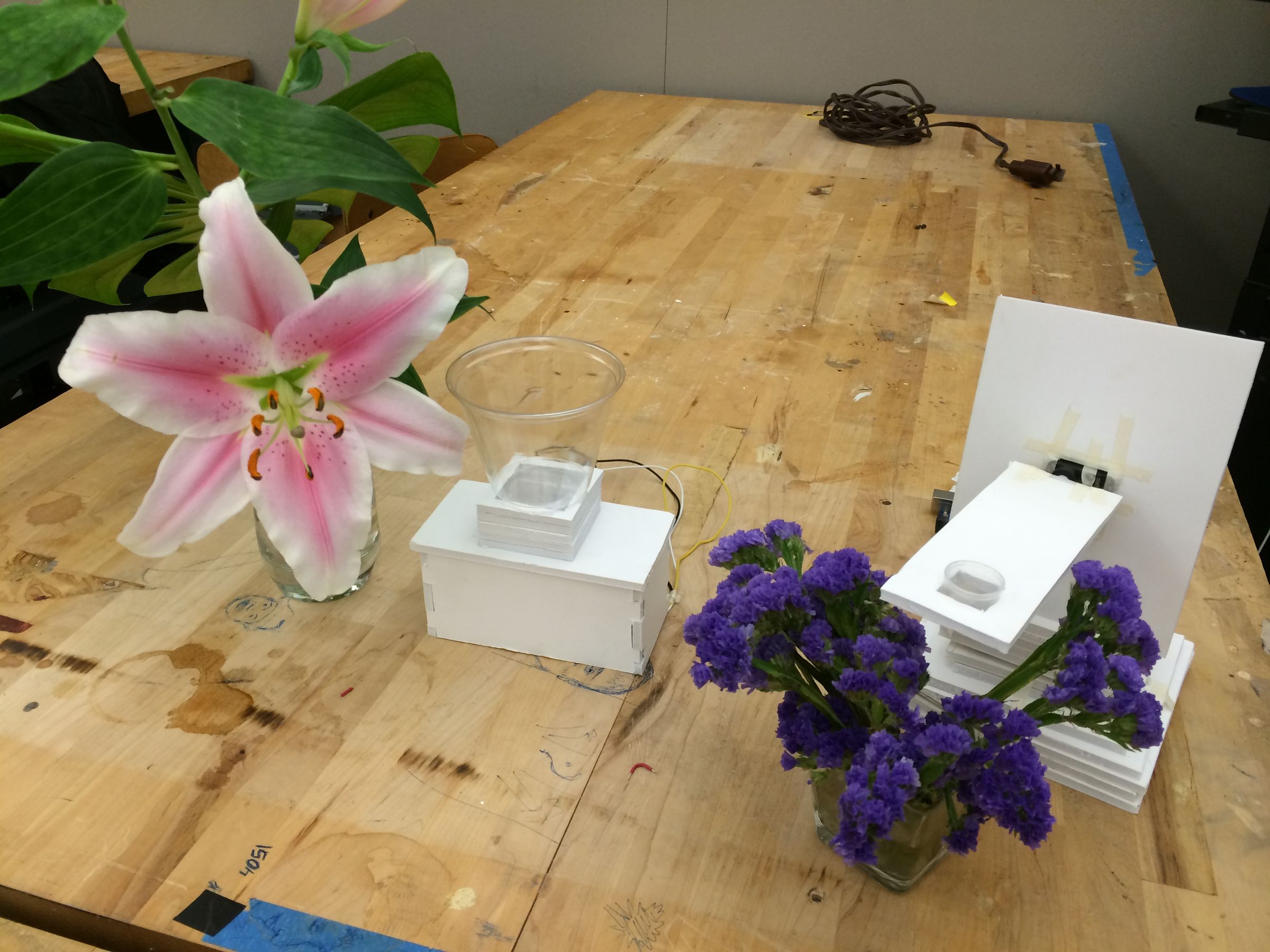 Forget Me Not- Remote Flower Watering : 4 Steps (with Pictures ...