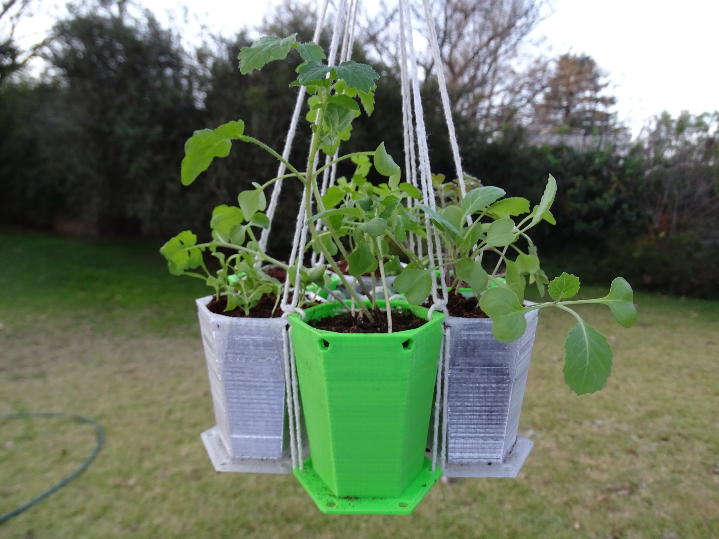 Modular Seedling Planters : 8 Steps (with Pictures) - Instructables