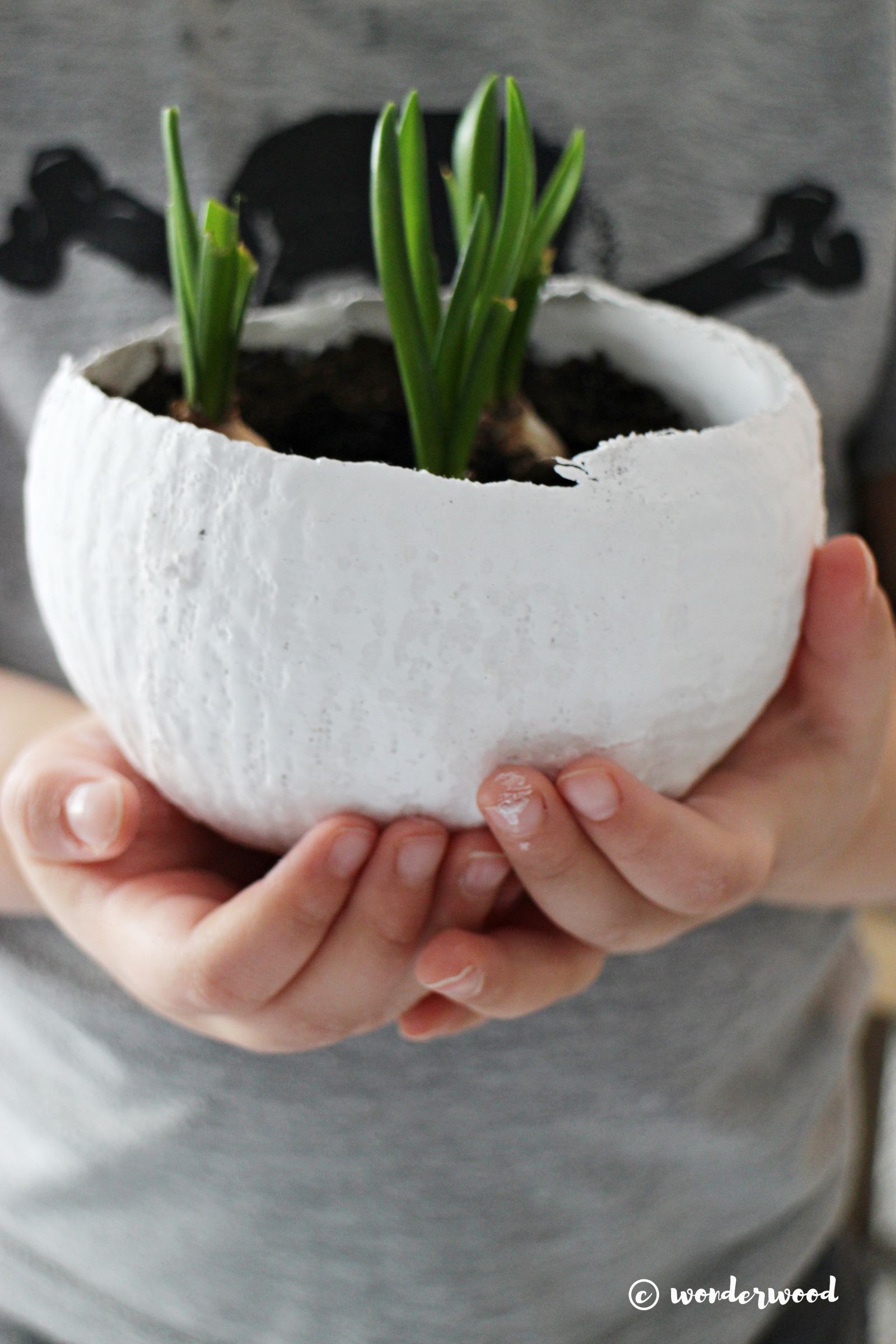 Plaster Egg Bowls : 3 Steps - Instructables
