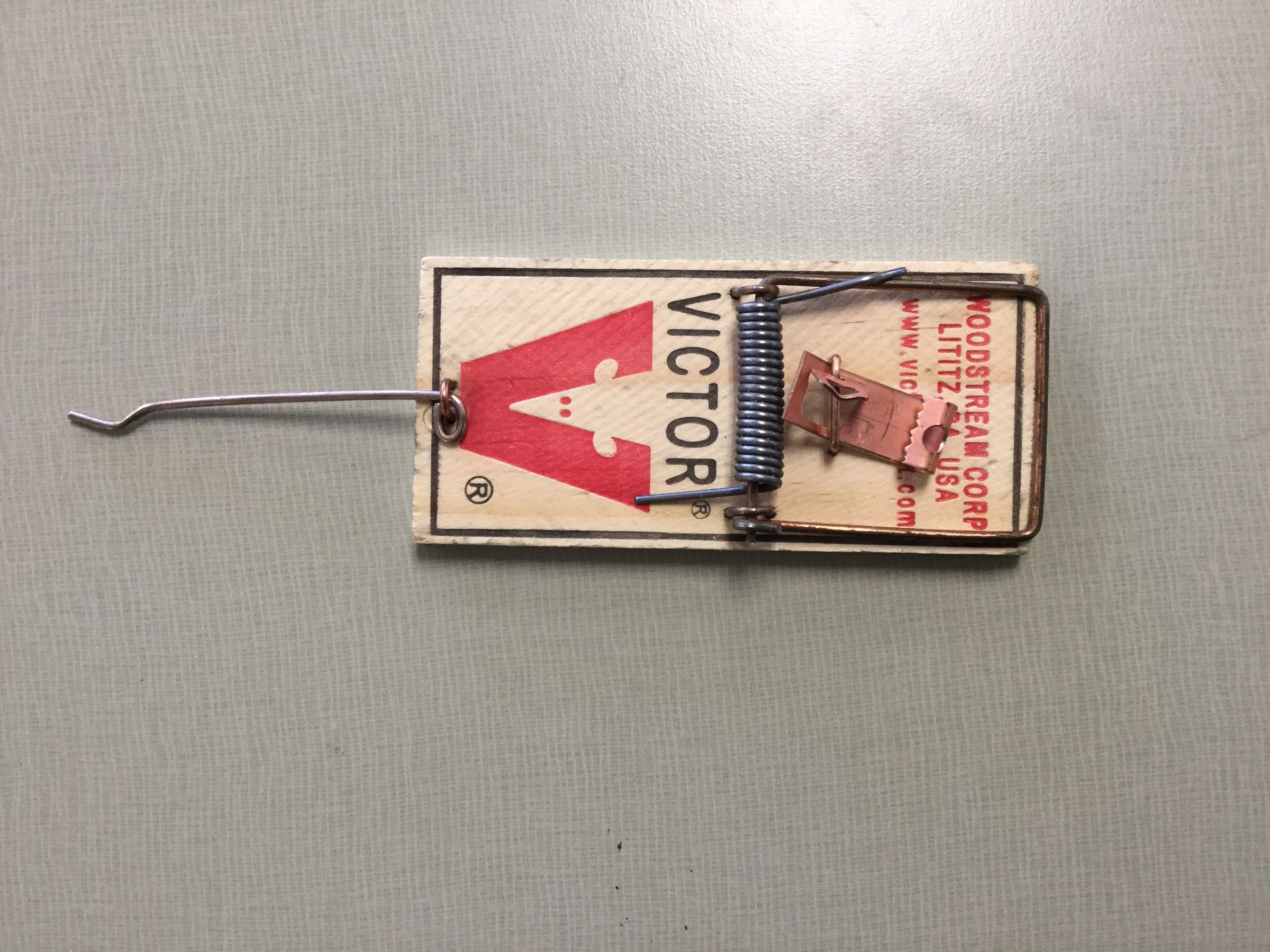 Mouse Trap Car : 6 Steps - Instructables