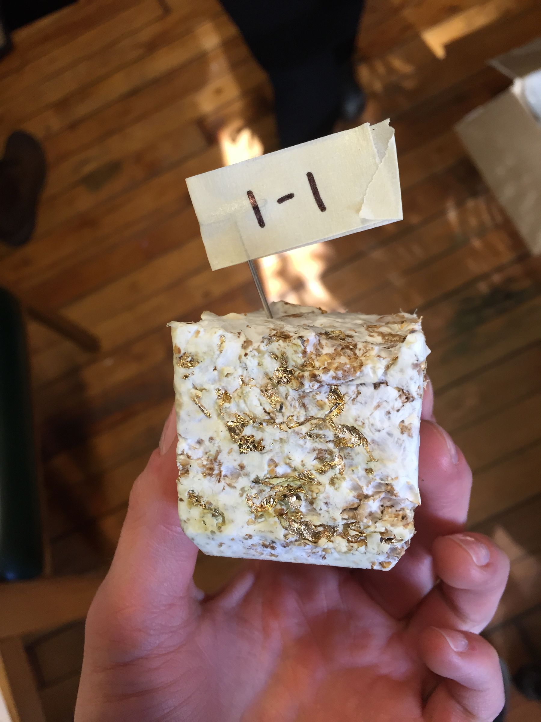 Mycelial Forms : 9 Steps (with Pictures) - Instructables