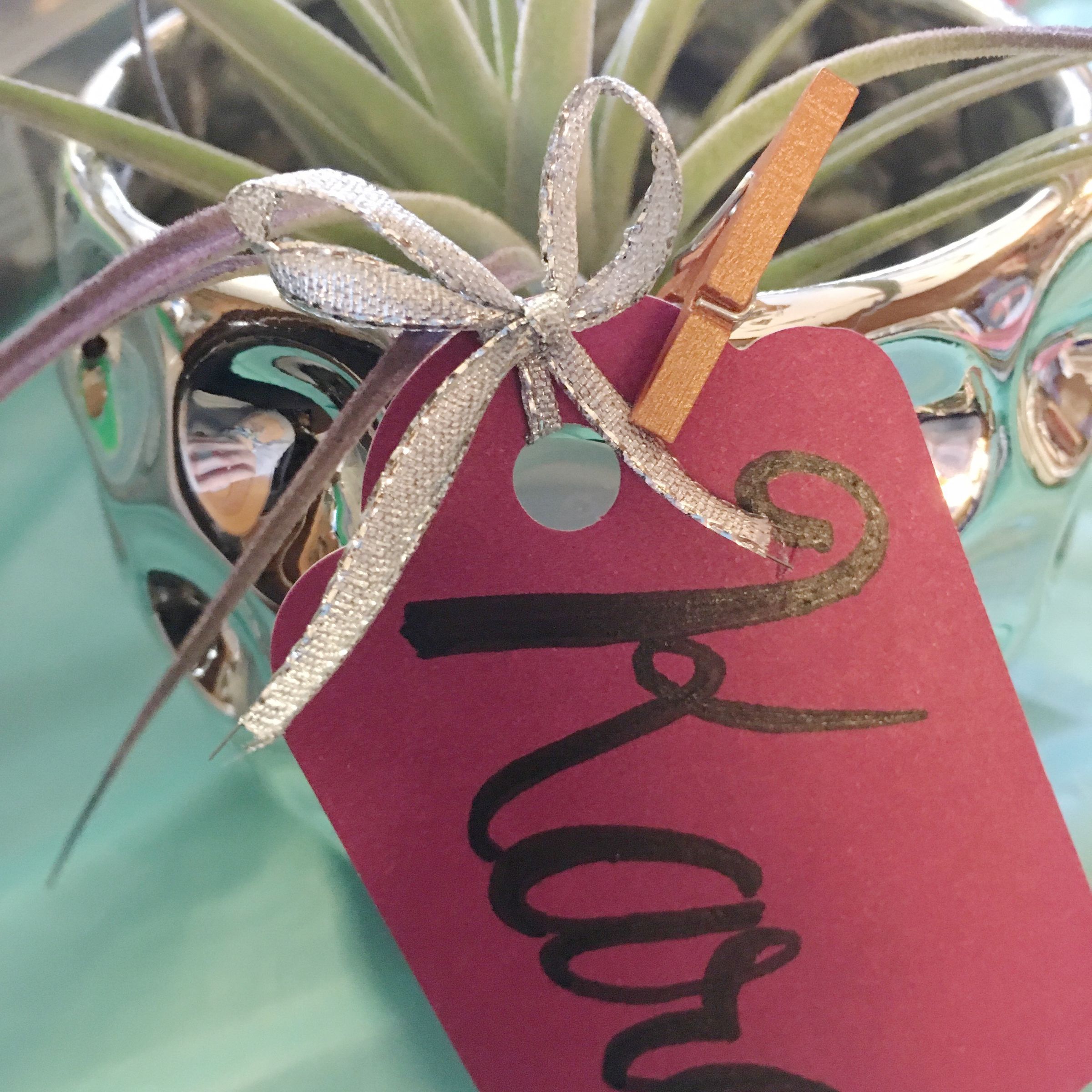 2 Gift-able Projects Using Real Plants! : 9 Steps (with Pictures ...