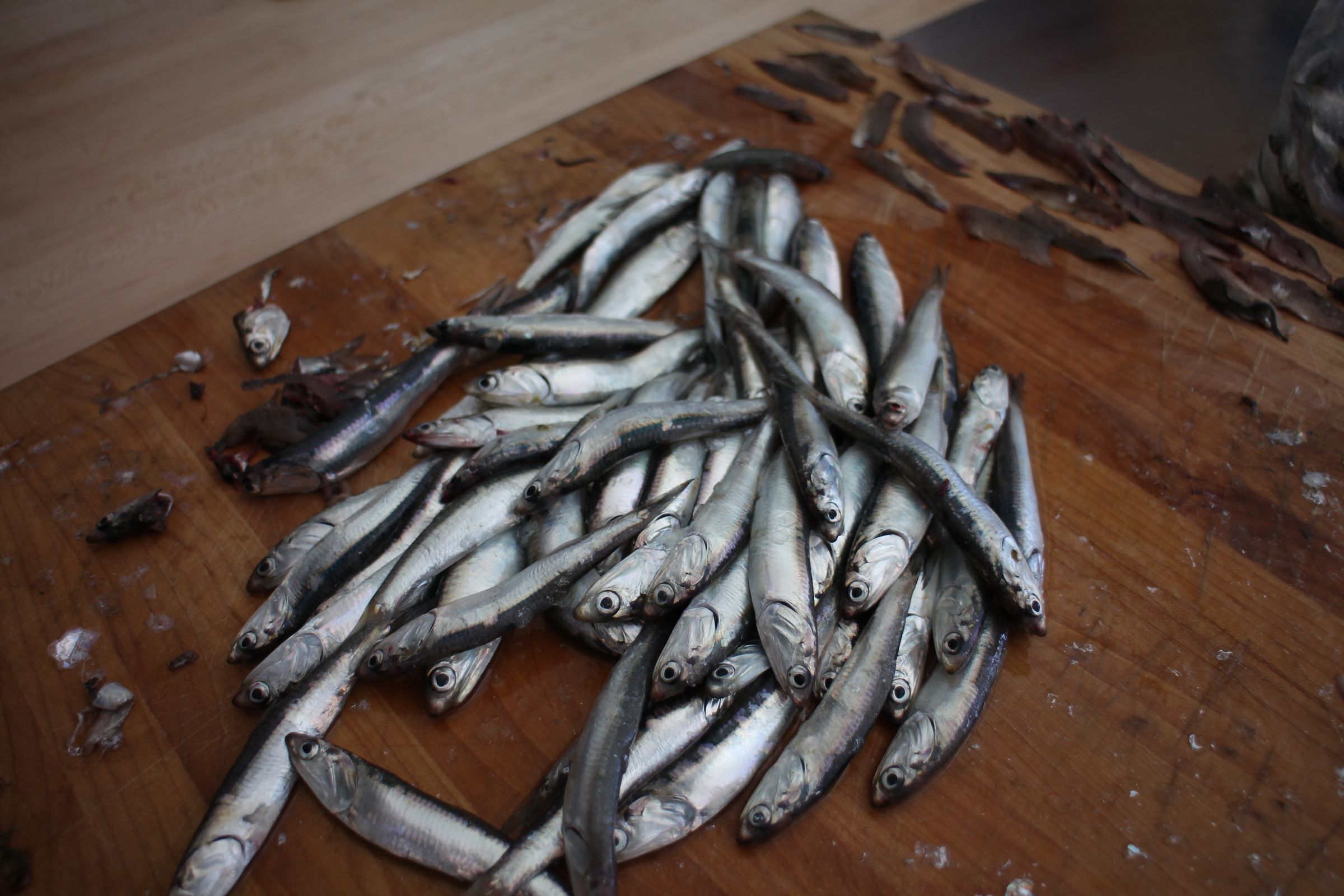 How to Clean and Preserve Anchovies : 5 Steps (with Pictures ...
