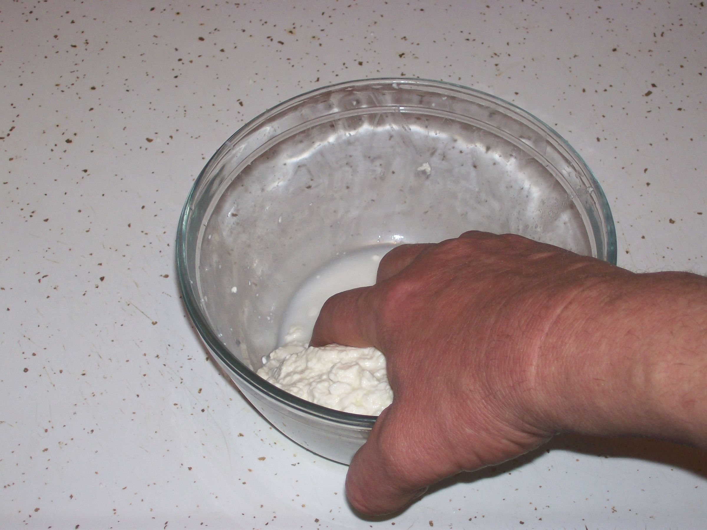 How to Make Great Fresh Mozzarella Cheese : 19 Steps (with Pictures ...