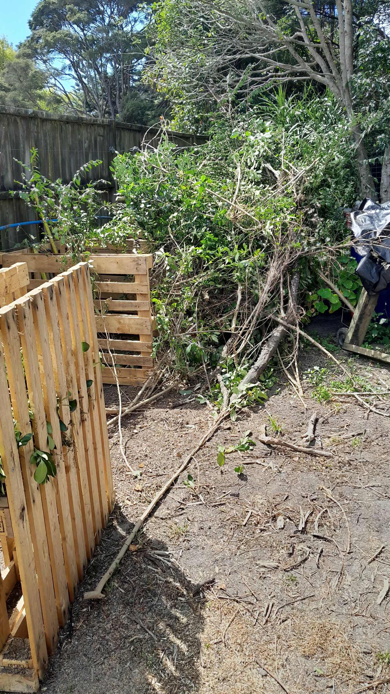 DIY Pallet and Chainsaw Mulching Rack - for Easy Vegetation Shredding ...