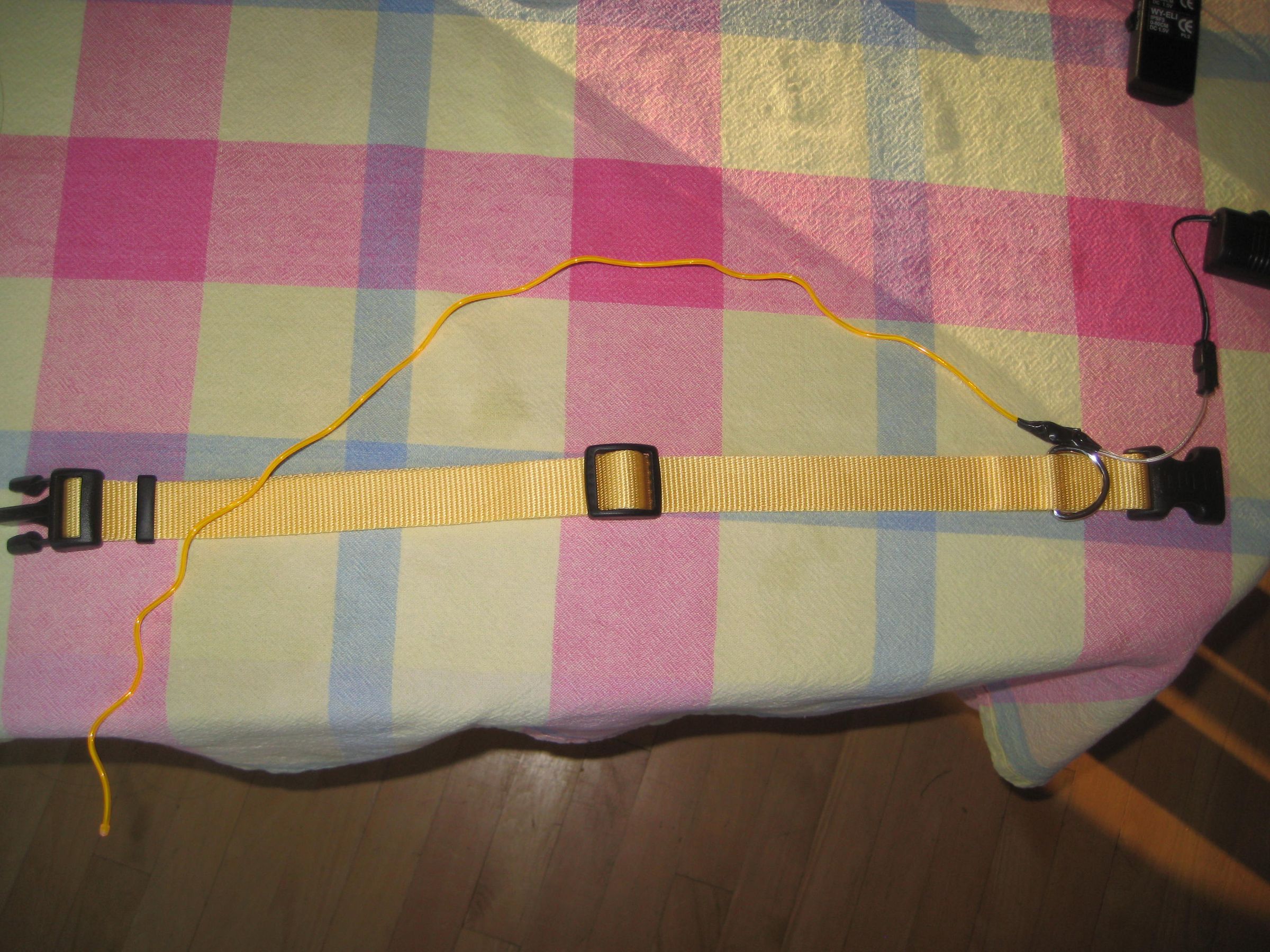 El Wire Dog Collar & Leash! : 5 Steps (with Pictures) - Instructables