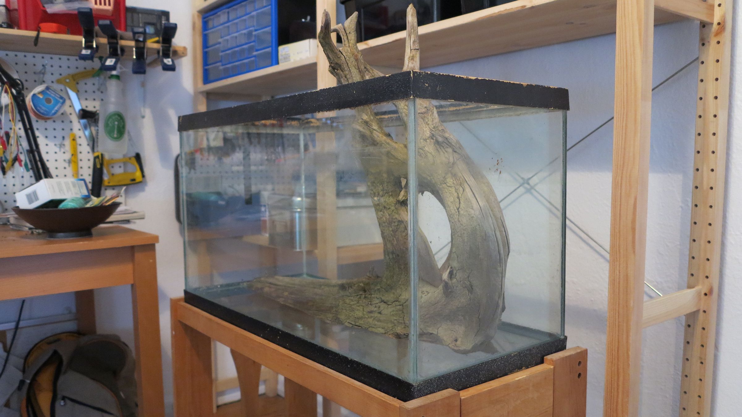 Ebb and Flow Aquaponics for the Office : 12 Steps (with Pictures ...
