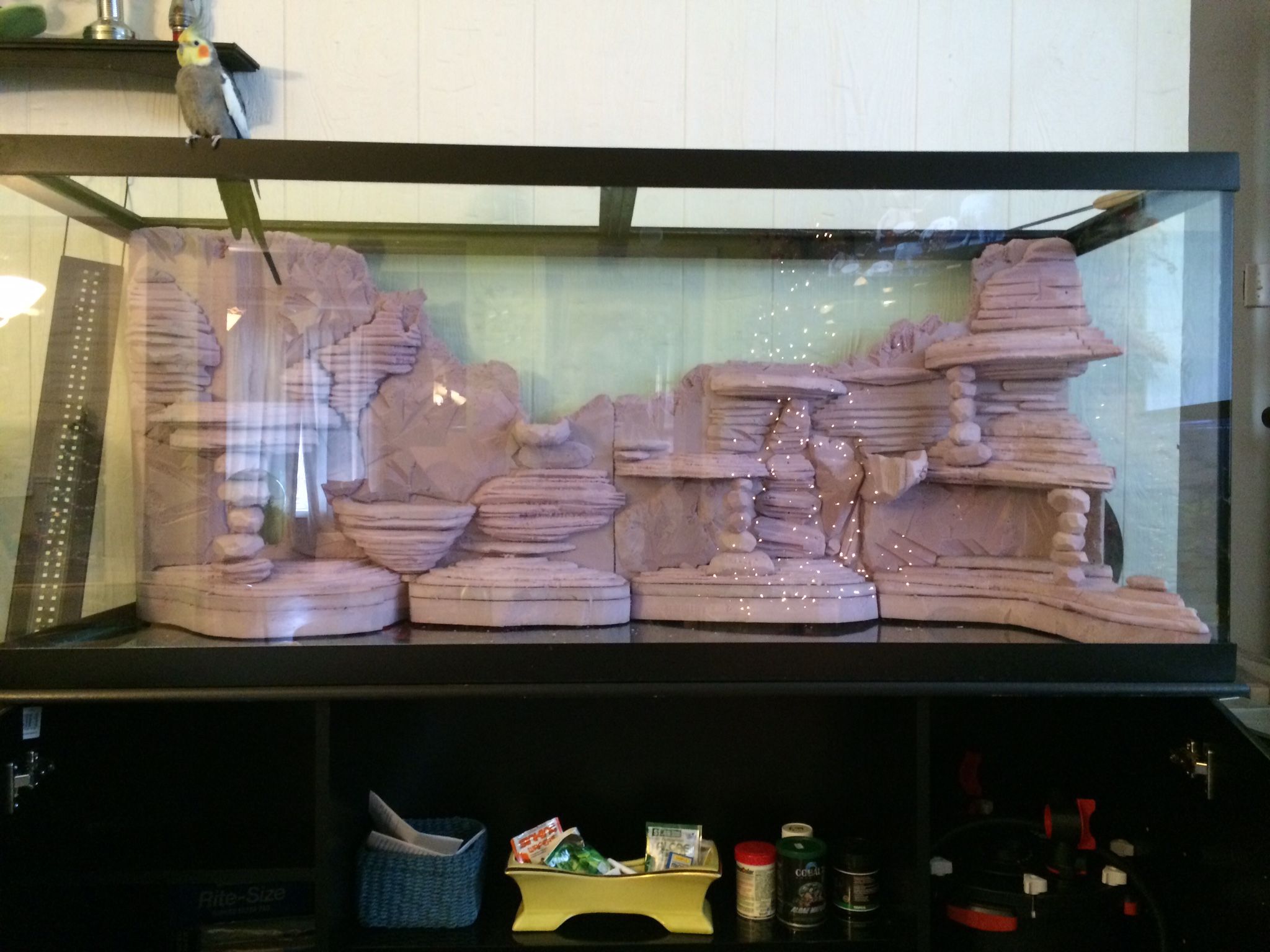 Make a 3D Aquarium Background : 14 Steps (with Pictures) - Instructables