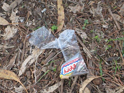 How to Host a Park Clean-Up in San Francisco : 9 Steps (with Pictures ...