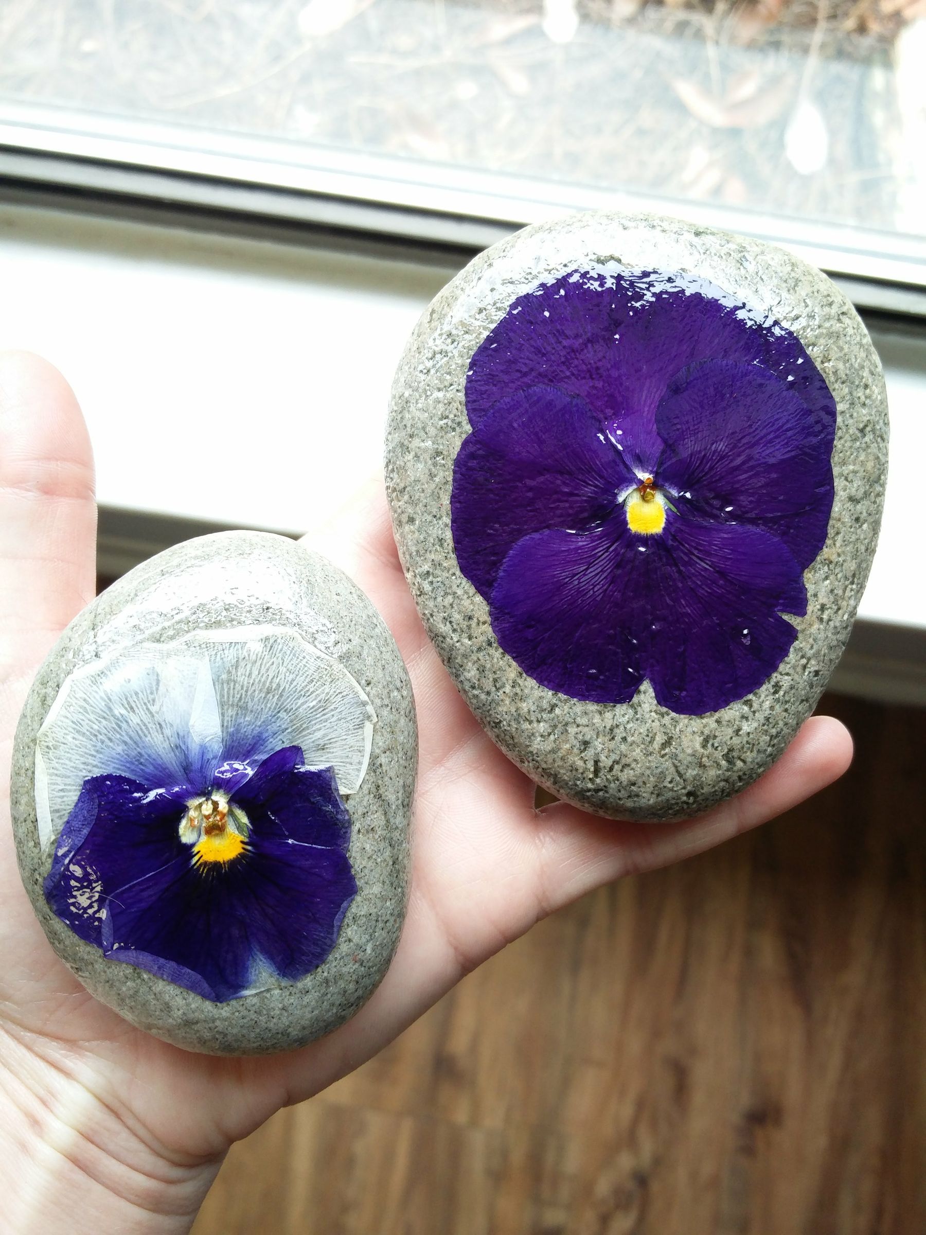 Pressed Flower Rocks : 8 Steps (with Pictures) - Instructables