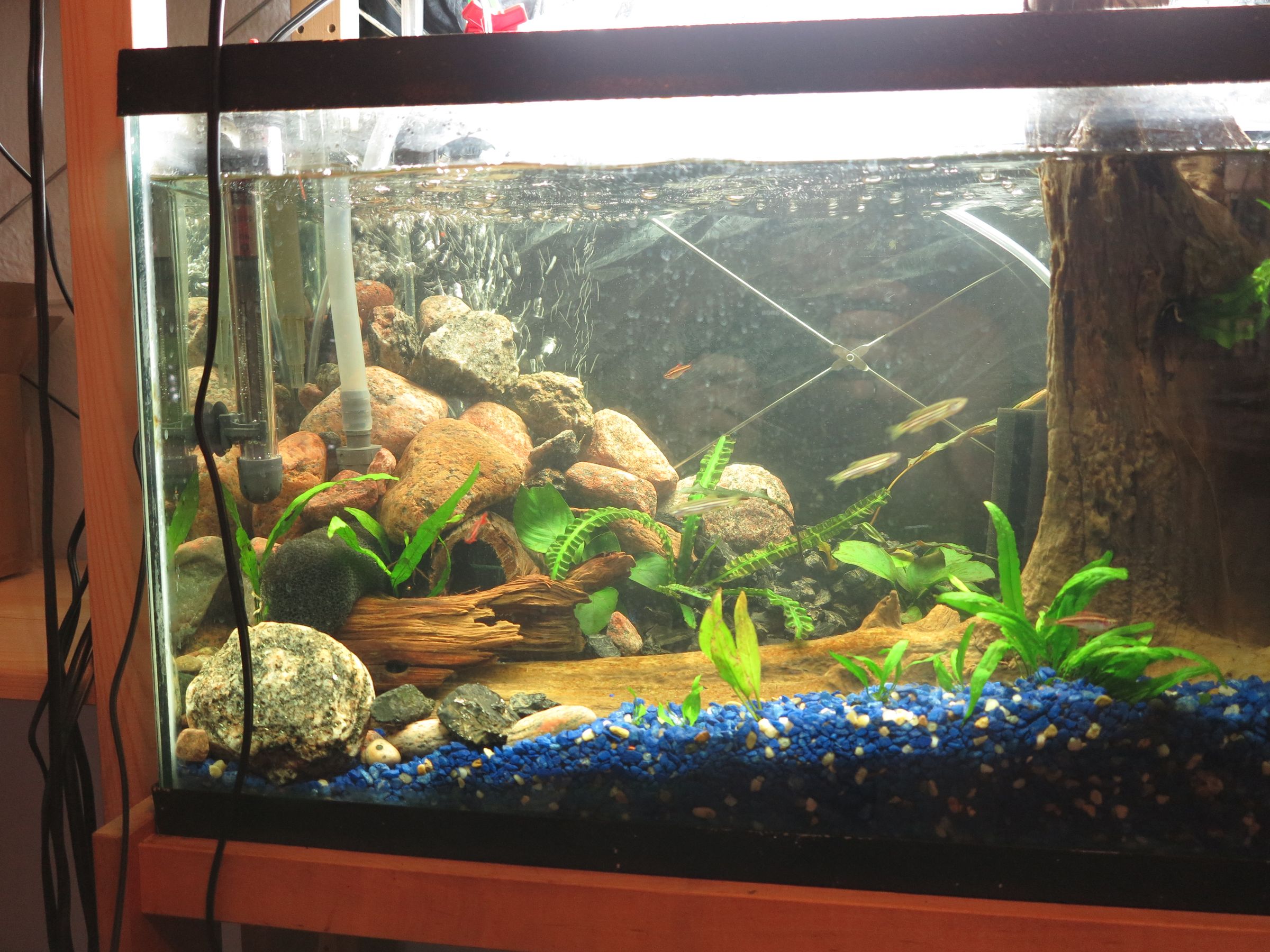 Ebb and Flow Aquaponics for the Office : 12 Steps (with Pictures ...