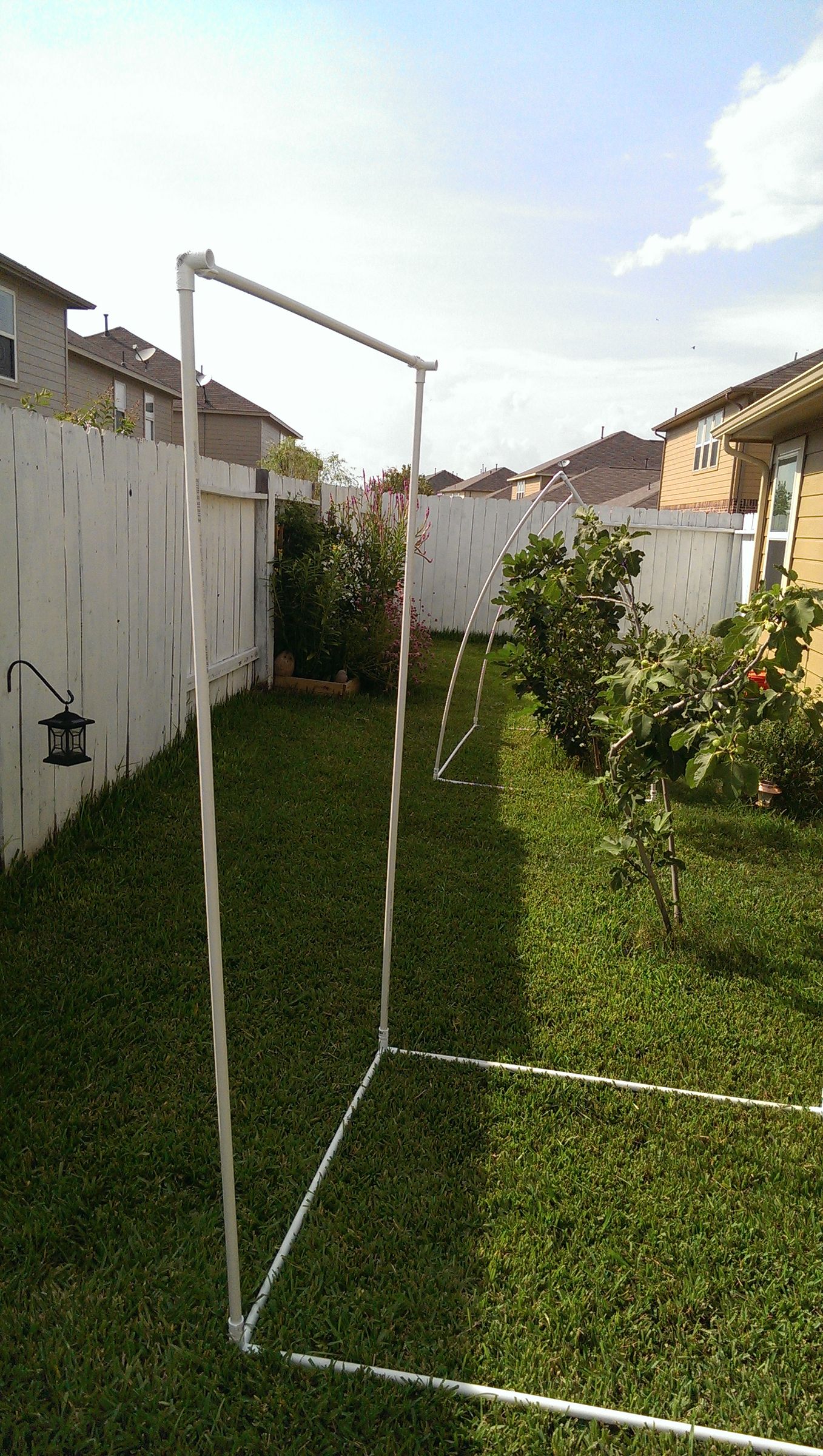 Fig Tree Protector : 6 Steps (with Pictures) - Instructables