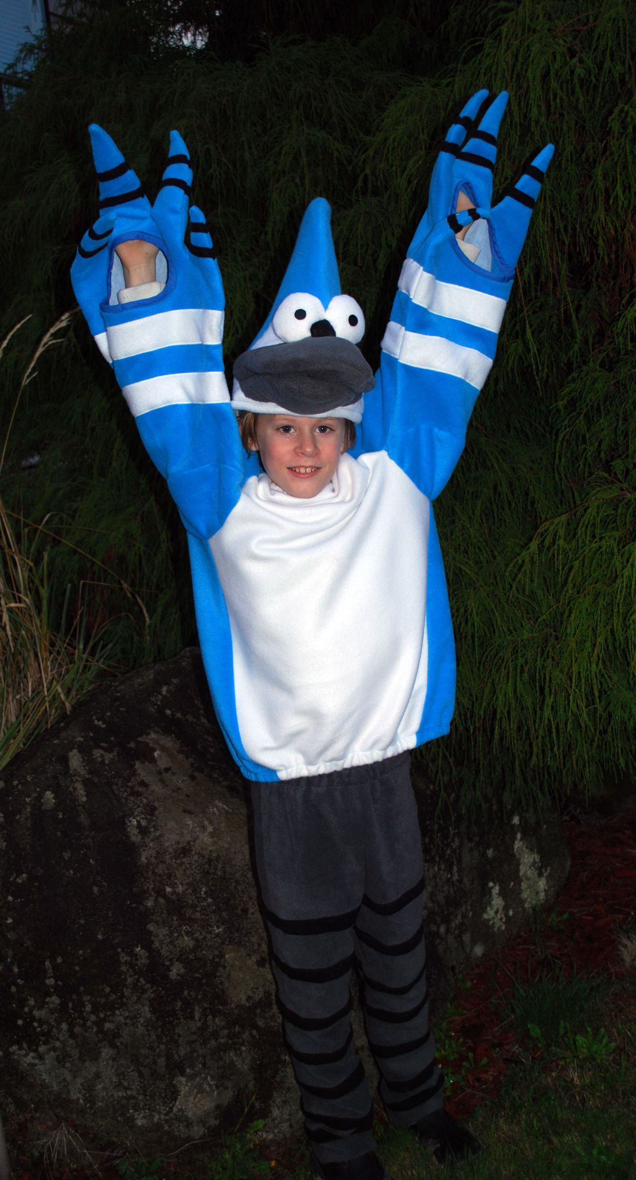 Regular Show Rigby Cosplay