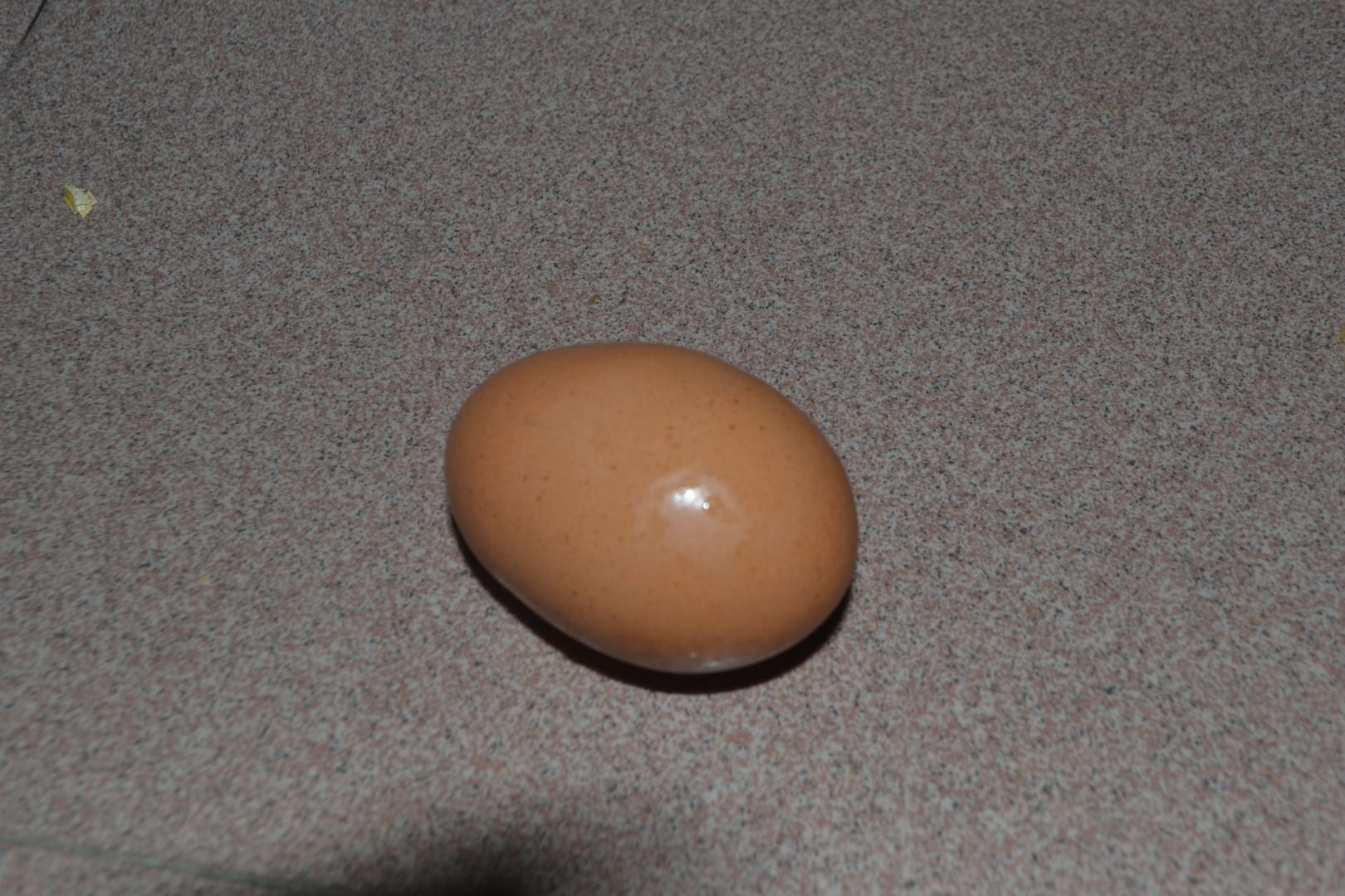 Fortune Eggs : 7 Steps (with Pictures) - Instructables