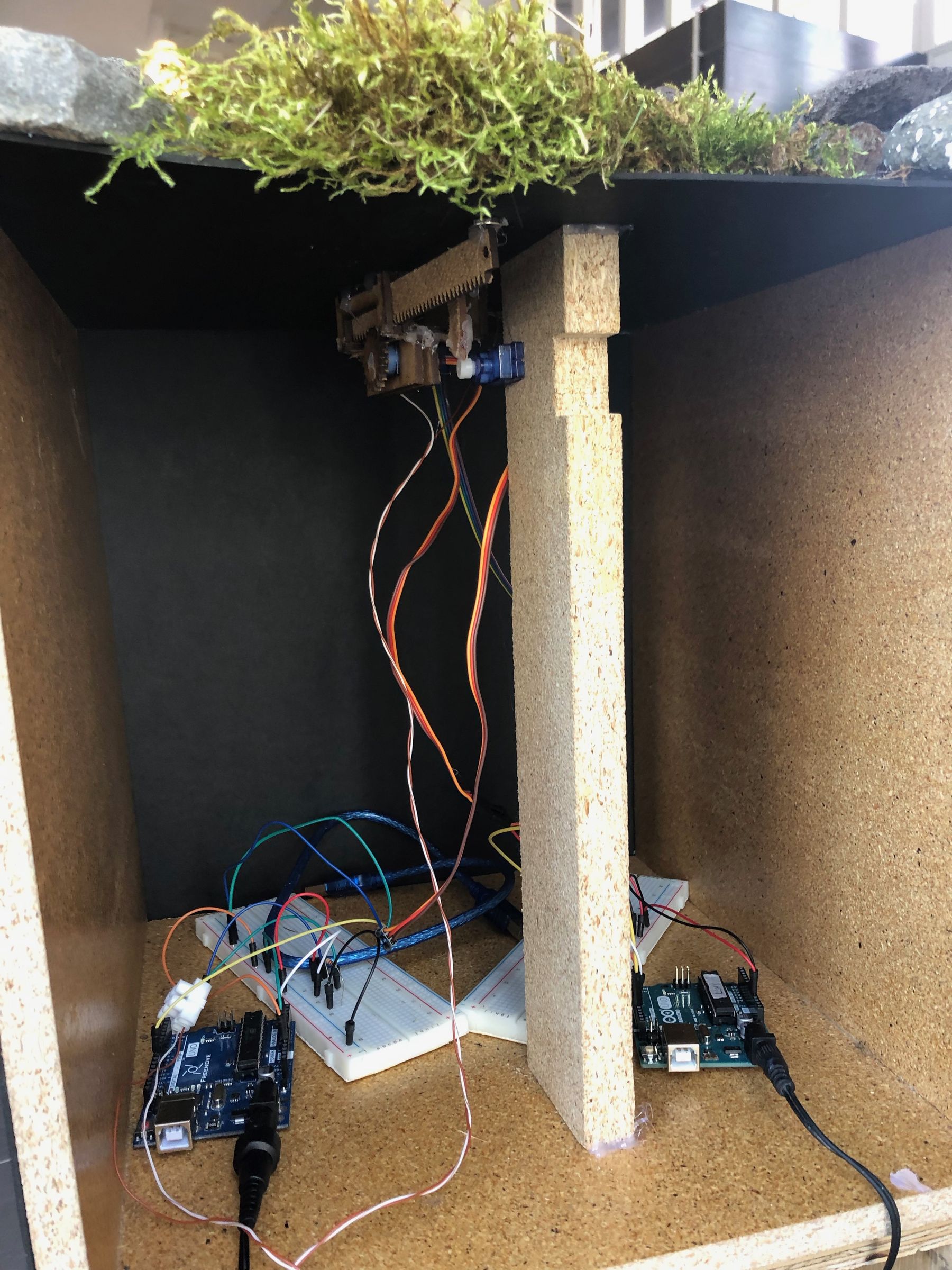 Moving Moss : 5 Steps - Instructables