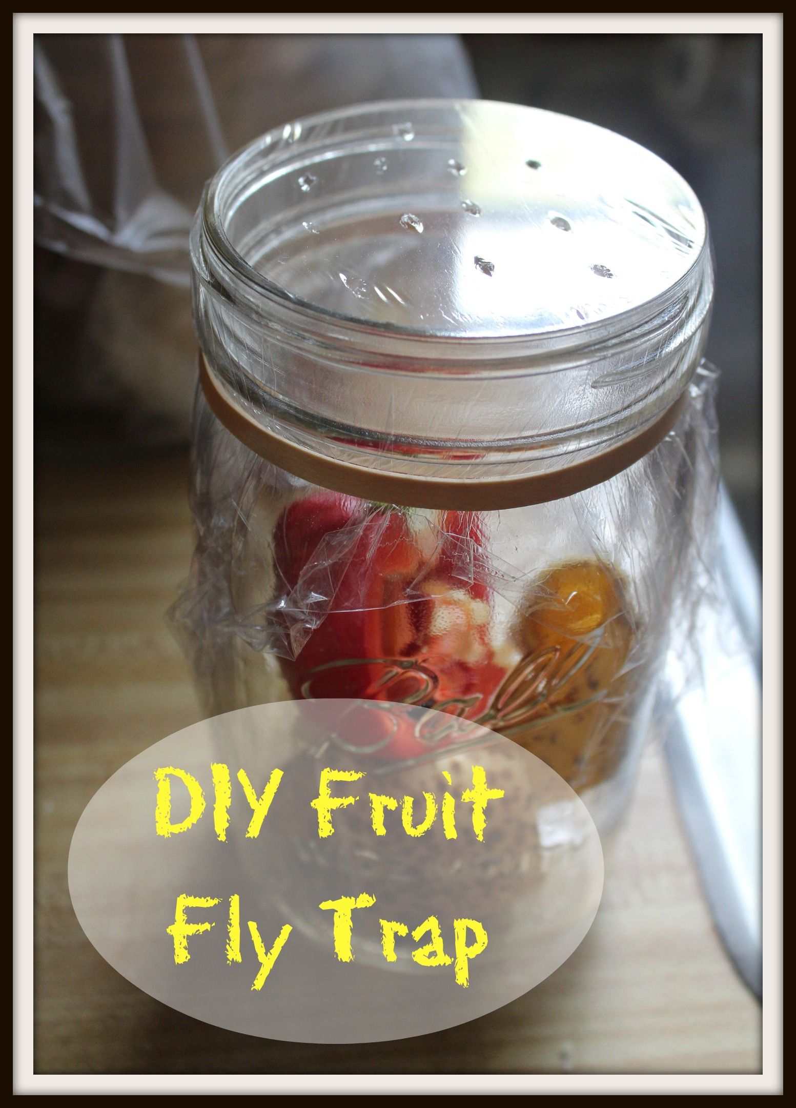 Quick and Easy Fruit Fly Trap : 9 Steps - Instructables