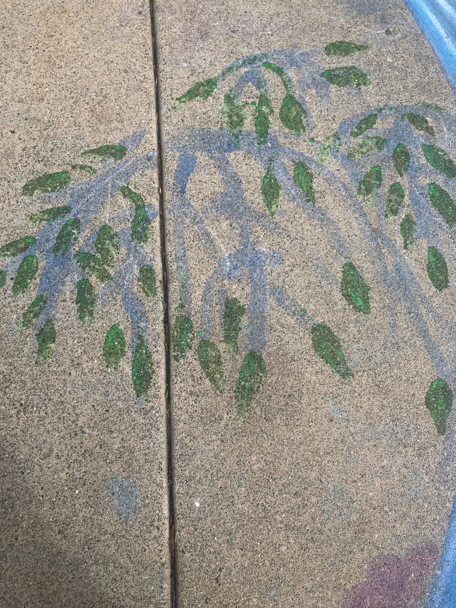 Amazing Sidewalk Chalk Art : 38 Steps (with Pictures) - Instructables