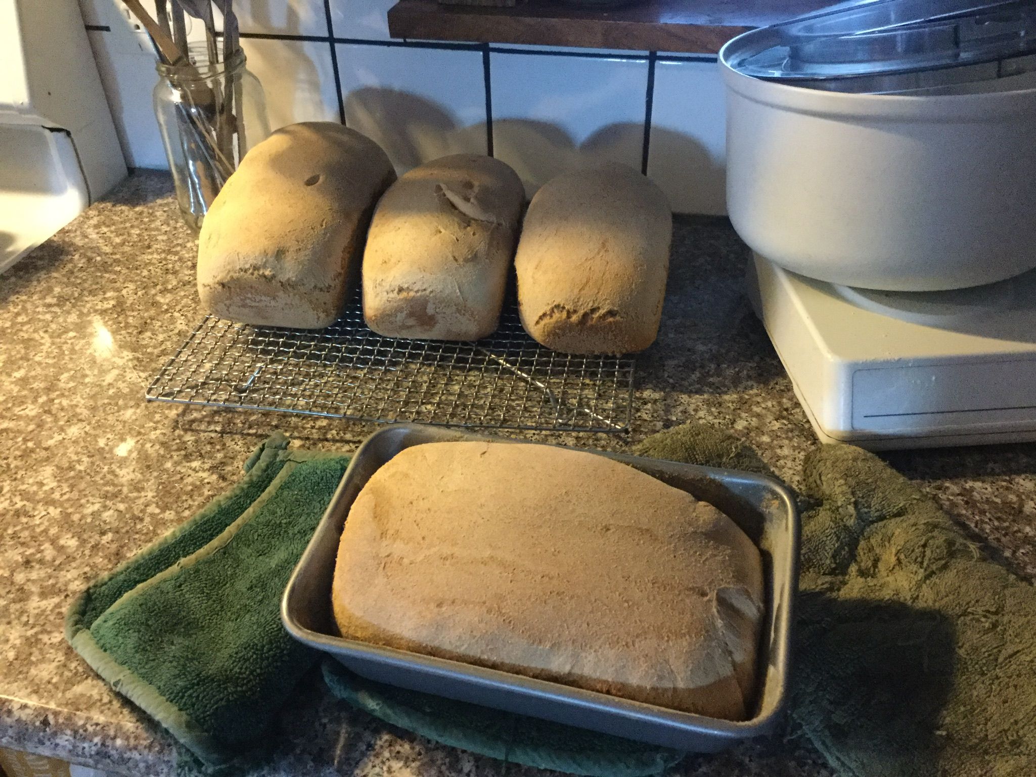 1 Rise Whole Wheat Bread : 9 Steps (with Pictures) - Instructables