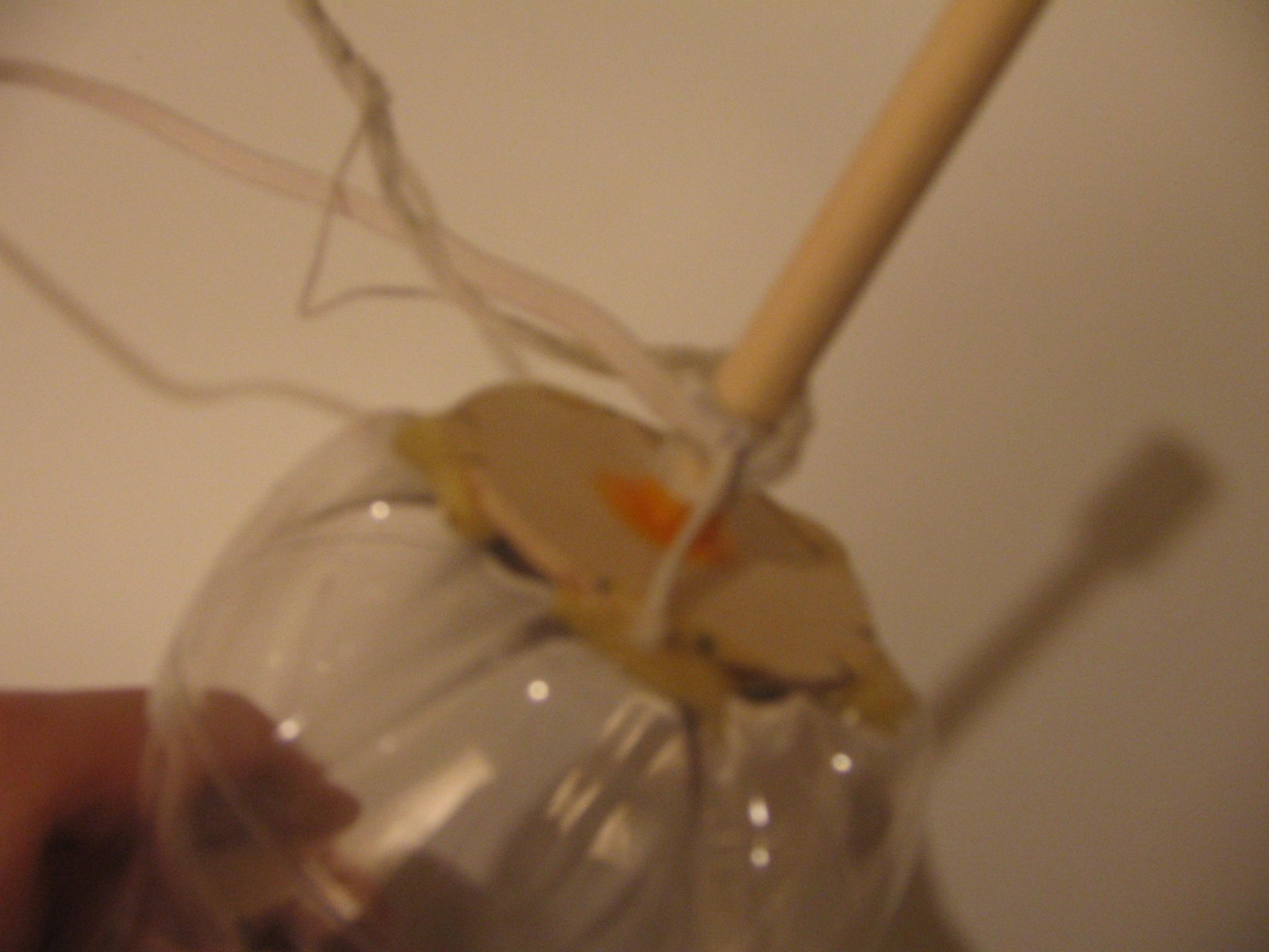 Drinkable Coca Cola Bottle Rocket : 6 Steps - Instructables