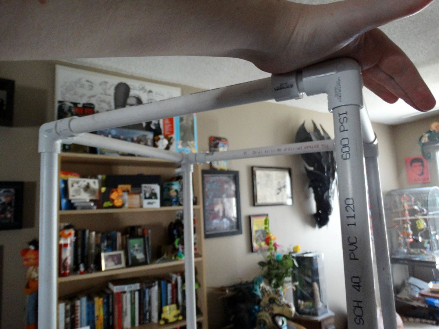 Raising Giant Silk Moths : 15 Steps (with Pictures) - Instructables