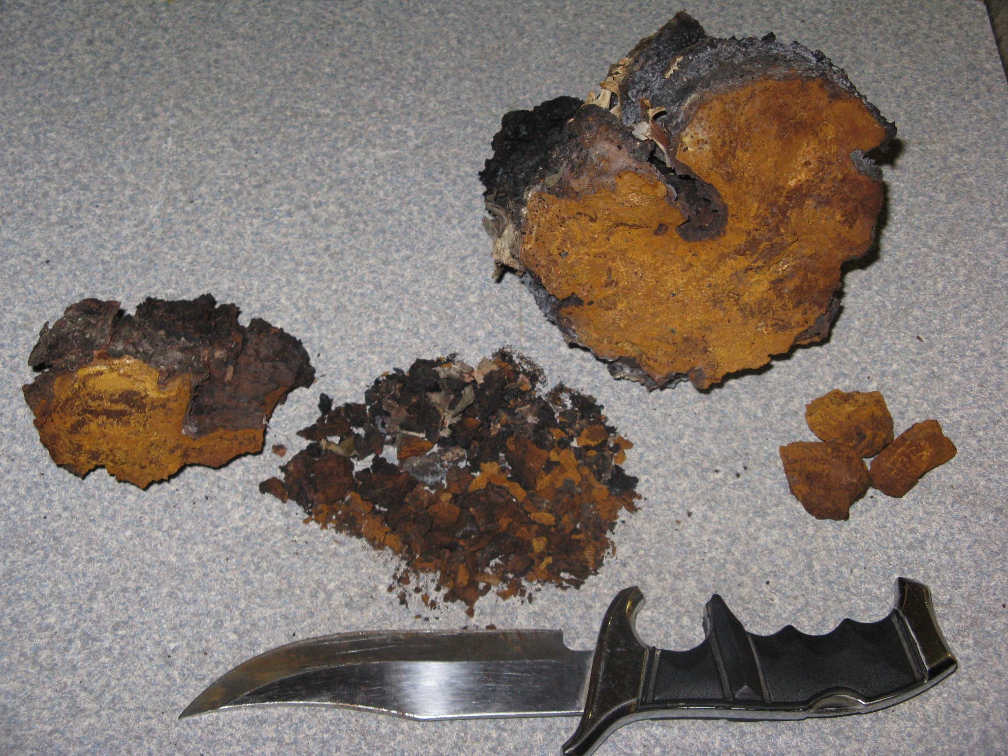 The Three Uses of Chaga Mushroom : 13 Steps (with Pictures) - Instructables